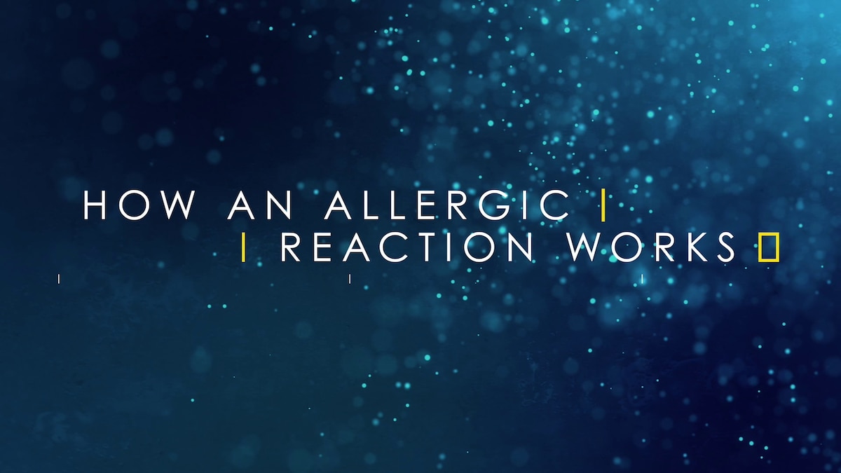 A brief history of allergies | National Geographic