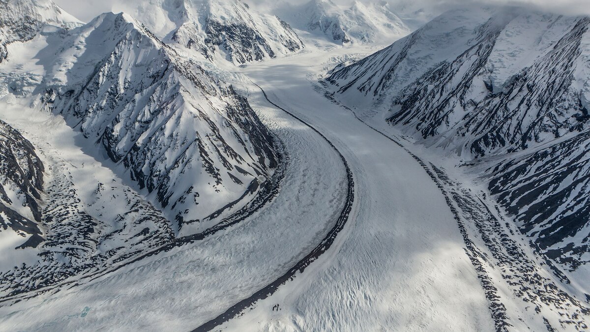 This Is Denali, Up Close and Spectacular | National Geographic