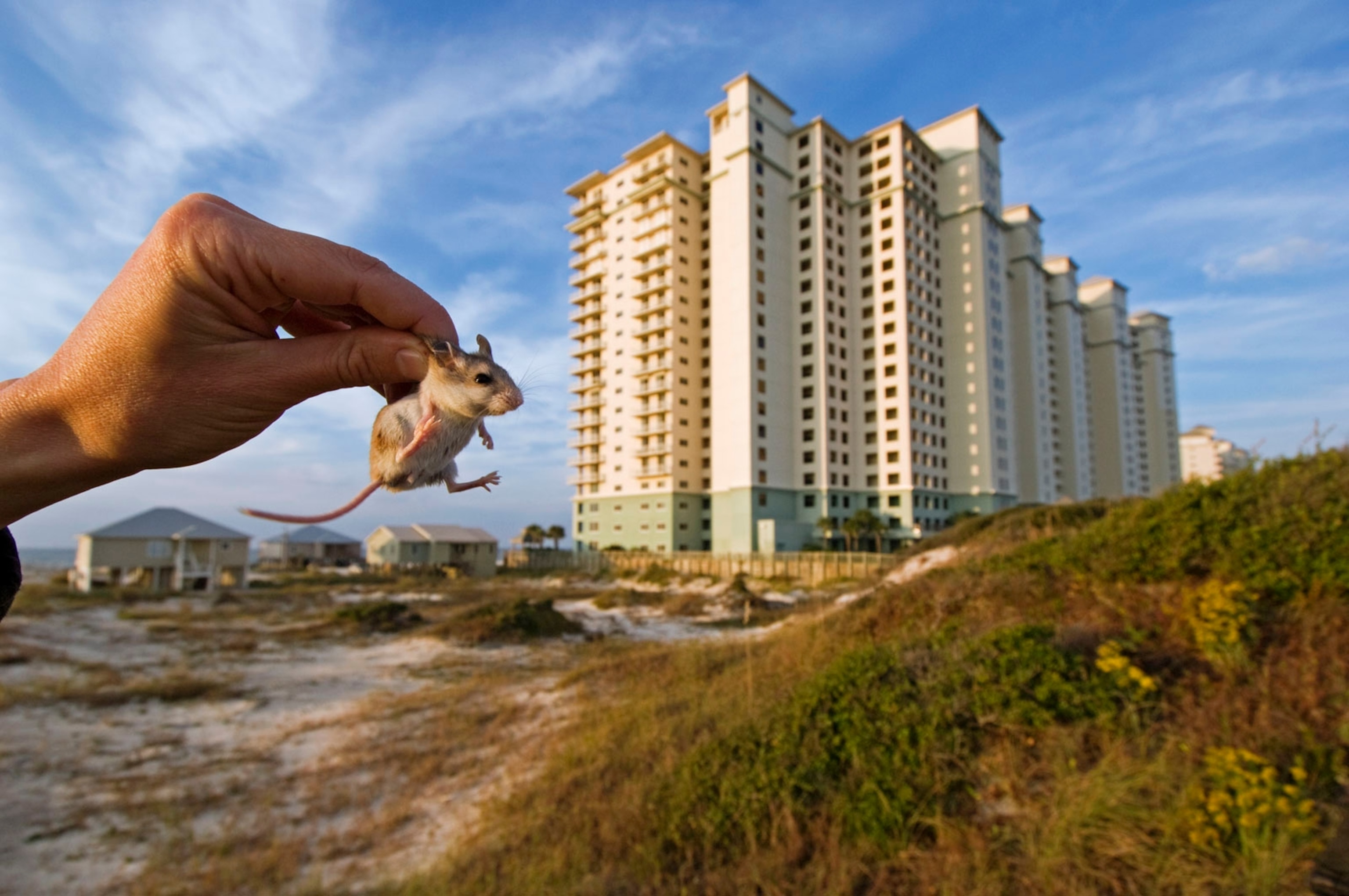 Last One | National Geographic