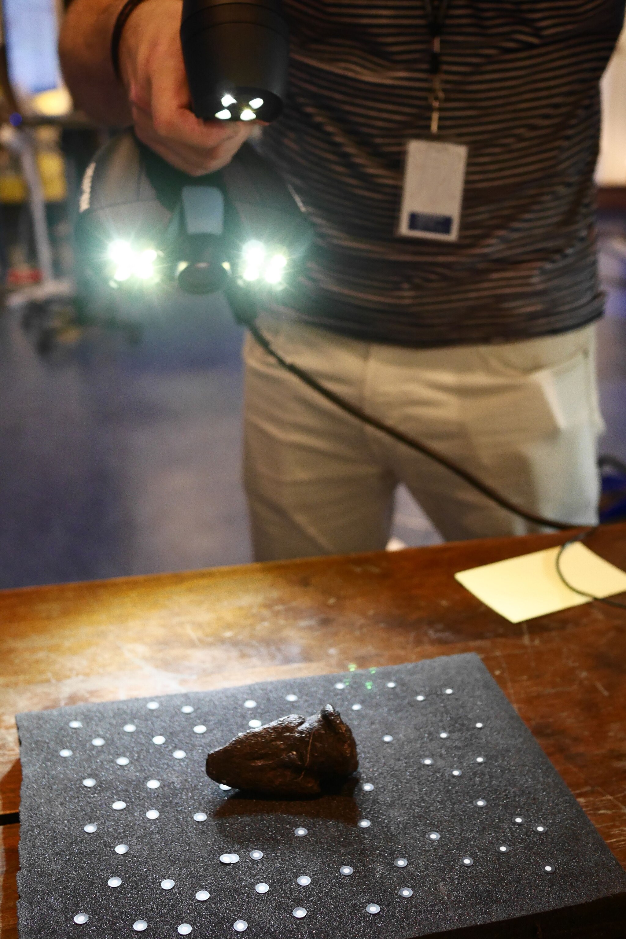 This is how you digitize a 130-million year old dinosaur—and why