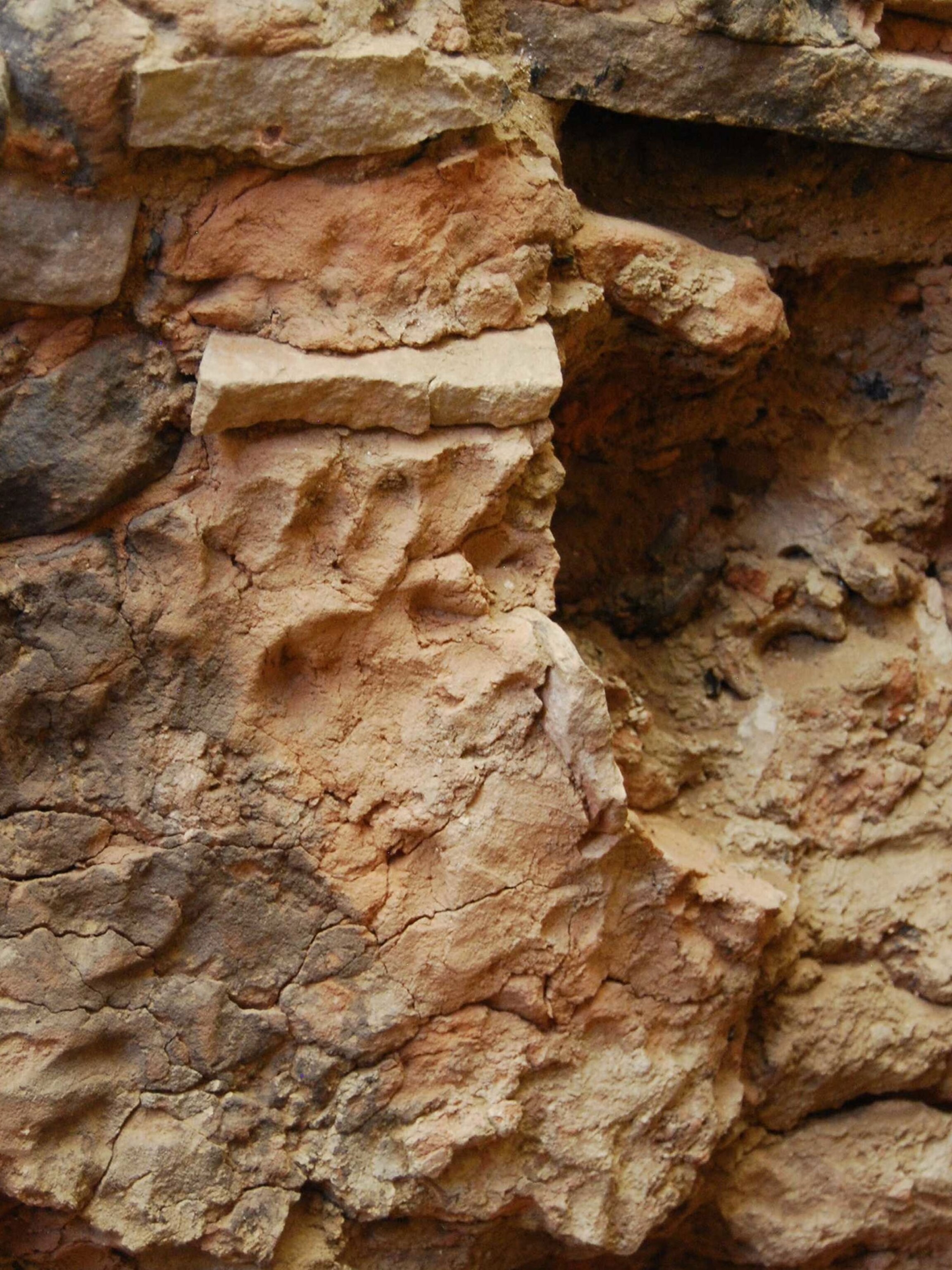 Extra Fingers and Toes Were Revered in Ancient Culture