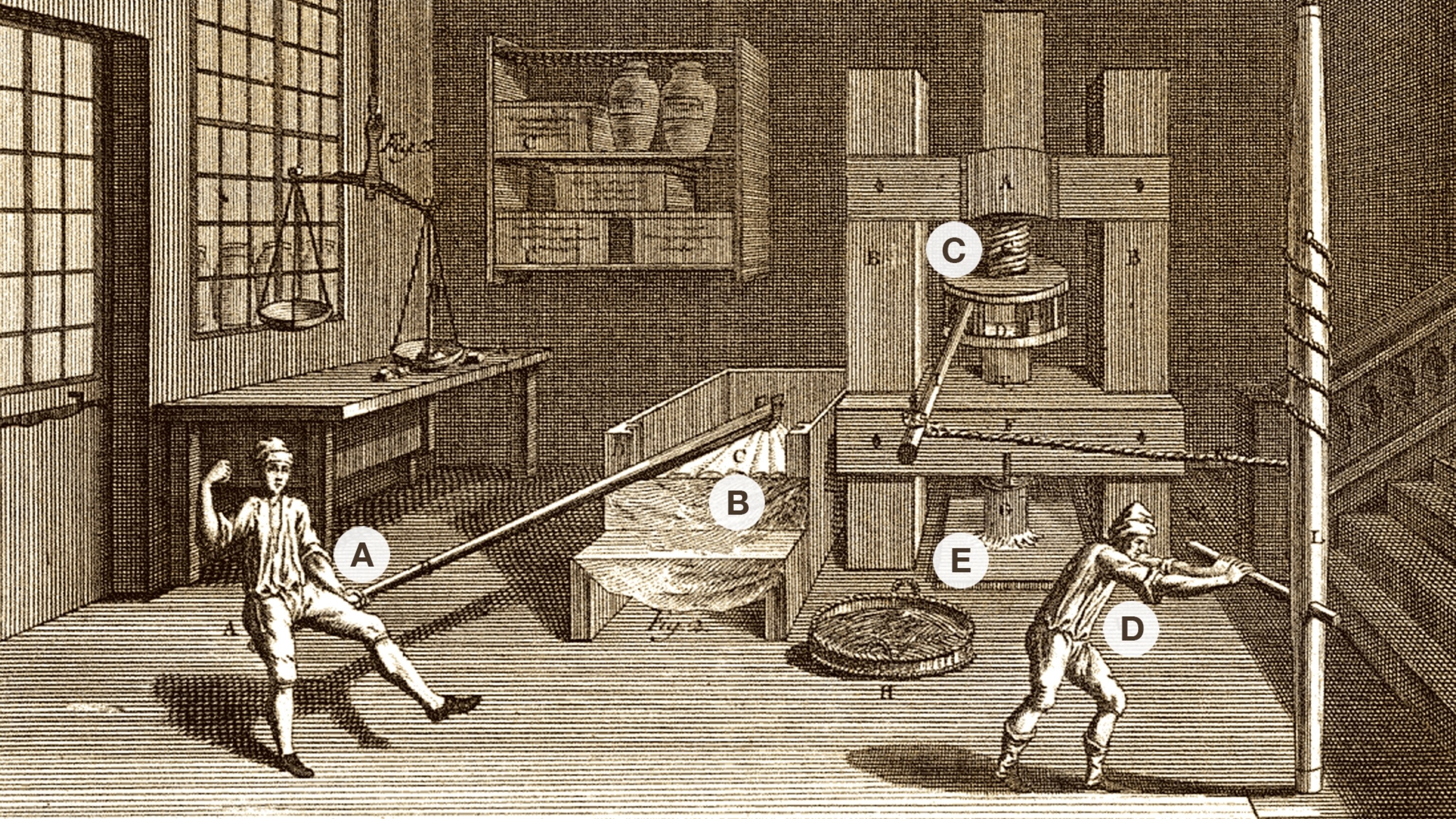 The Twisted History of Pasta