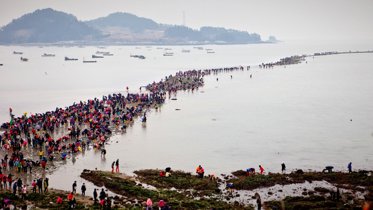 Jindo Sea Parting: Science Behind the 'Magic' | National Geographic