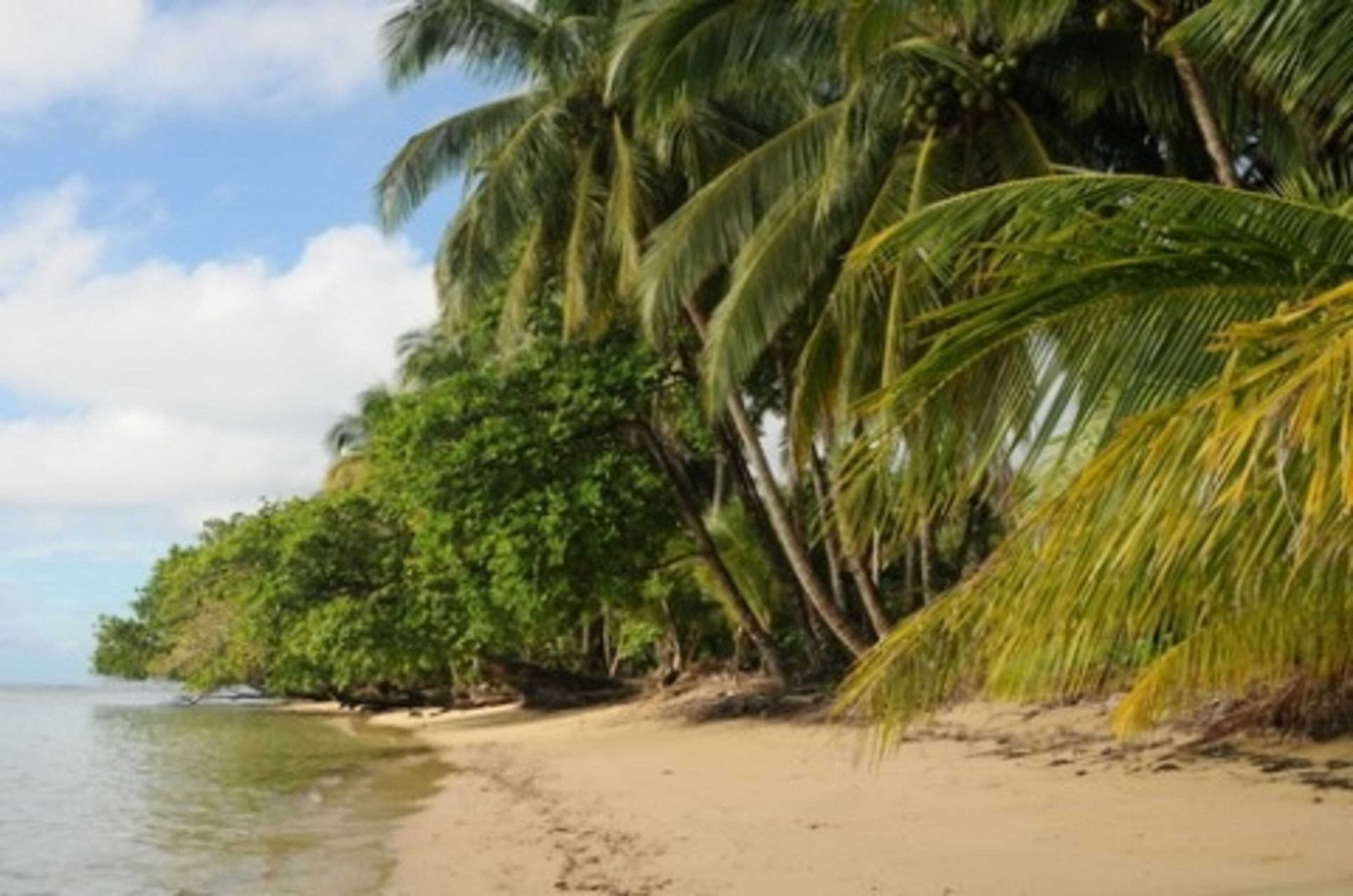 Jenss Family Travels: Journey’s End | National Geographic