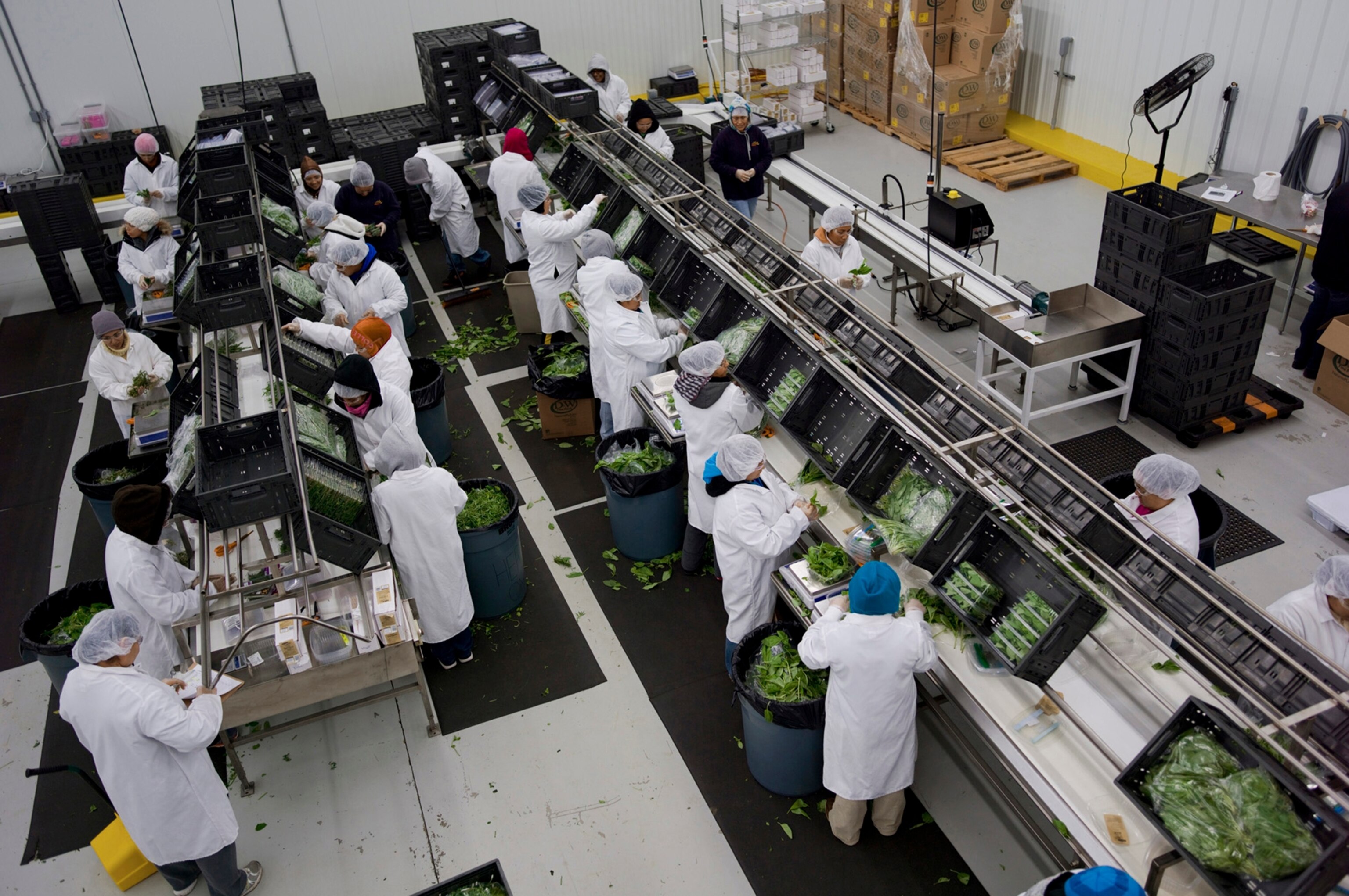 Anthony Suau’s Organic Rising | National Geographic