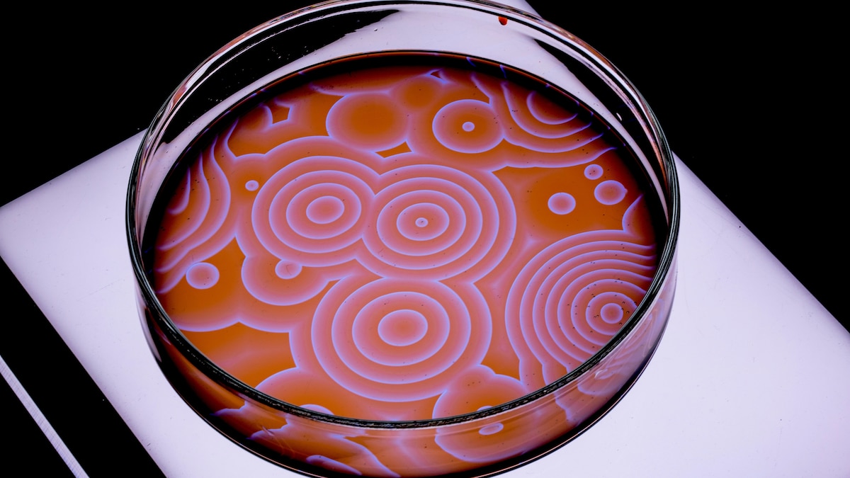 Uncovering life’s operating code | National Geographic