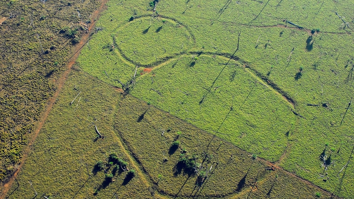 "Lost" Amazon Complex Found; Shapes Seen by Satellite | National Geographic