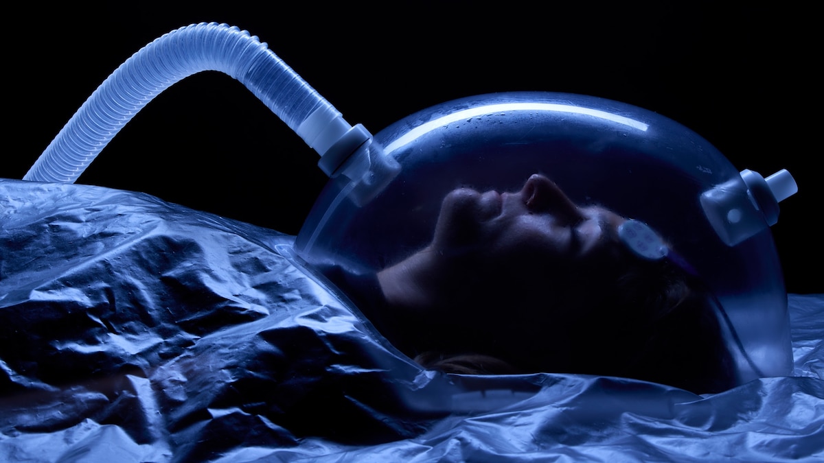Could humans hibernate? How scientists are racing to unlock a sci-fi ...