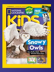 25 Magazines Your Kids Won t Put Down Teaching Expertise