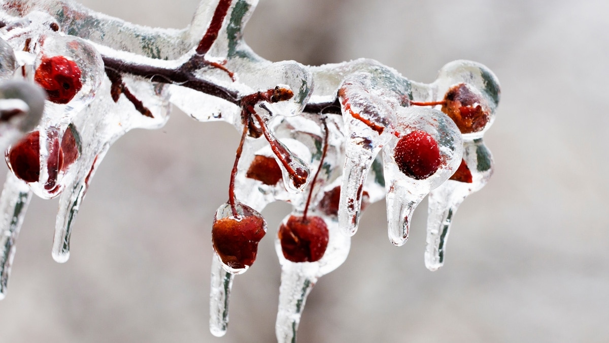 Science experiments that will chill out your kids | National Geographic