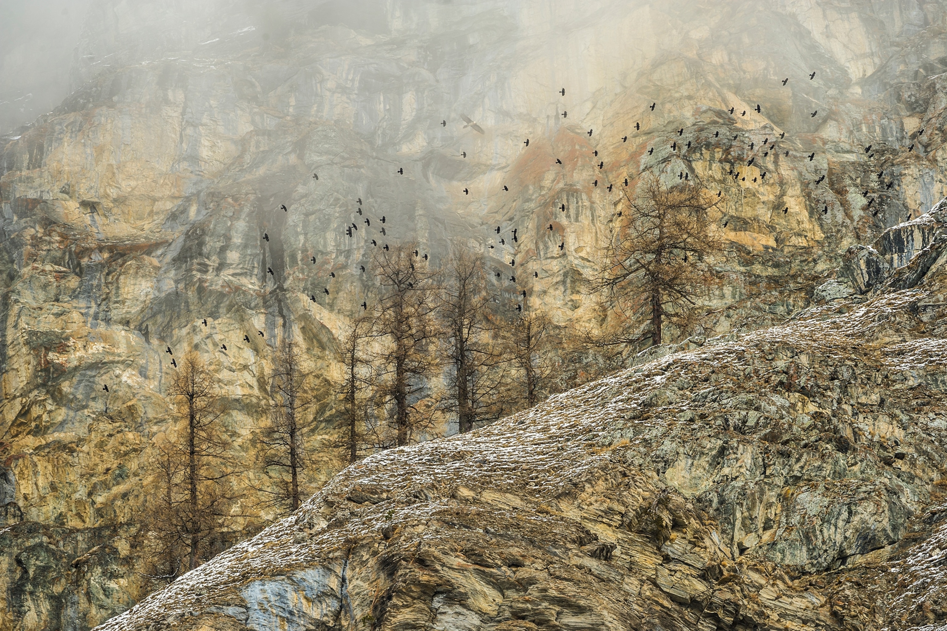 Three High-Altitude Peoples, Three Adaptations to Thin Air