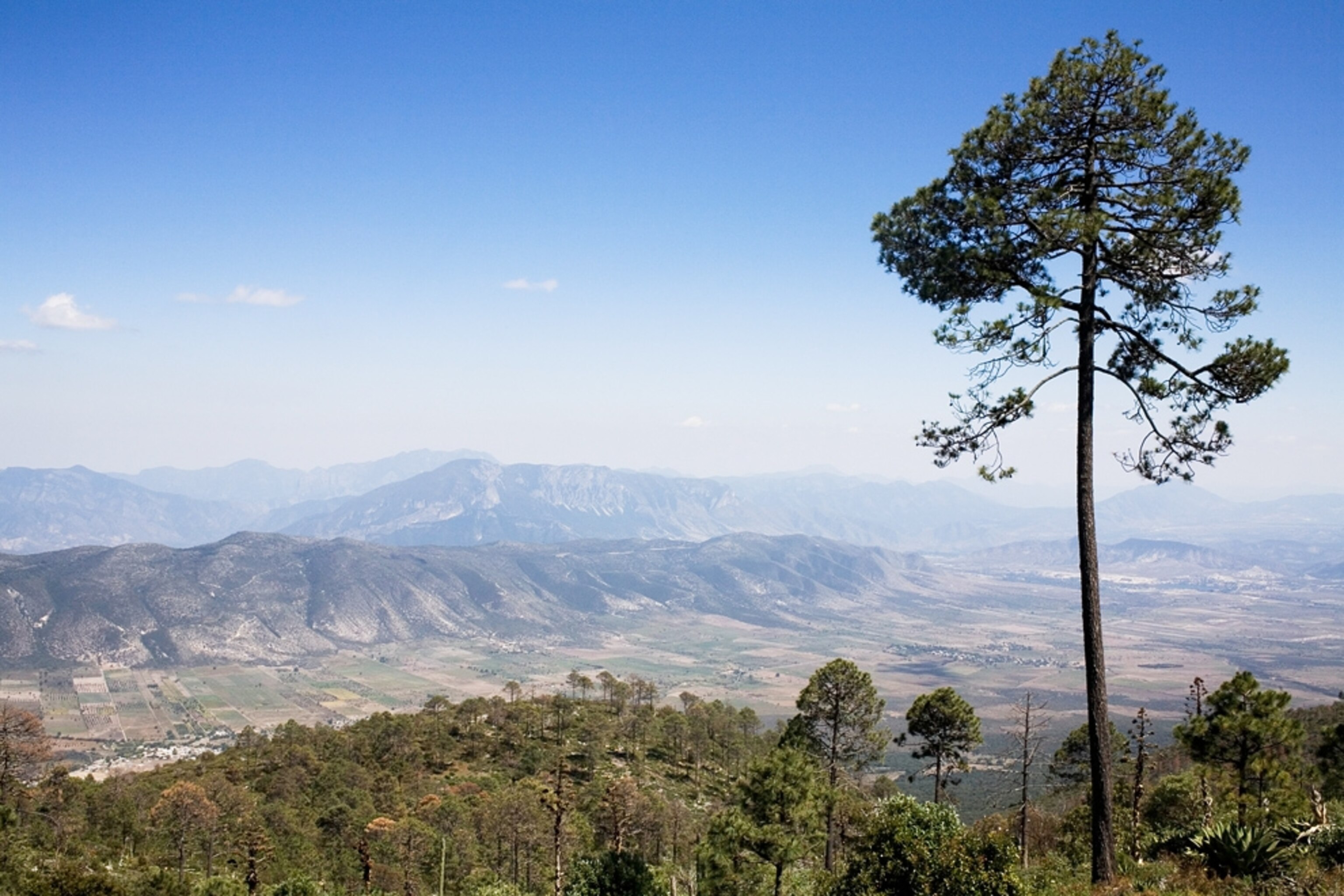 Earth Day Pictures: Ten Most Threatened Forests | National Geographic
