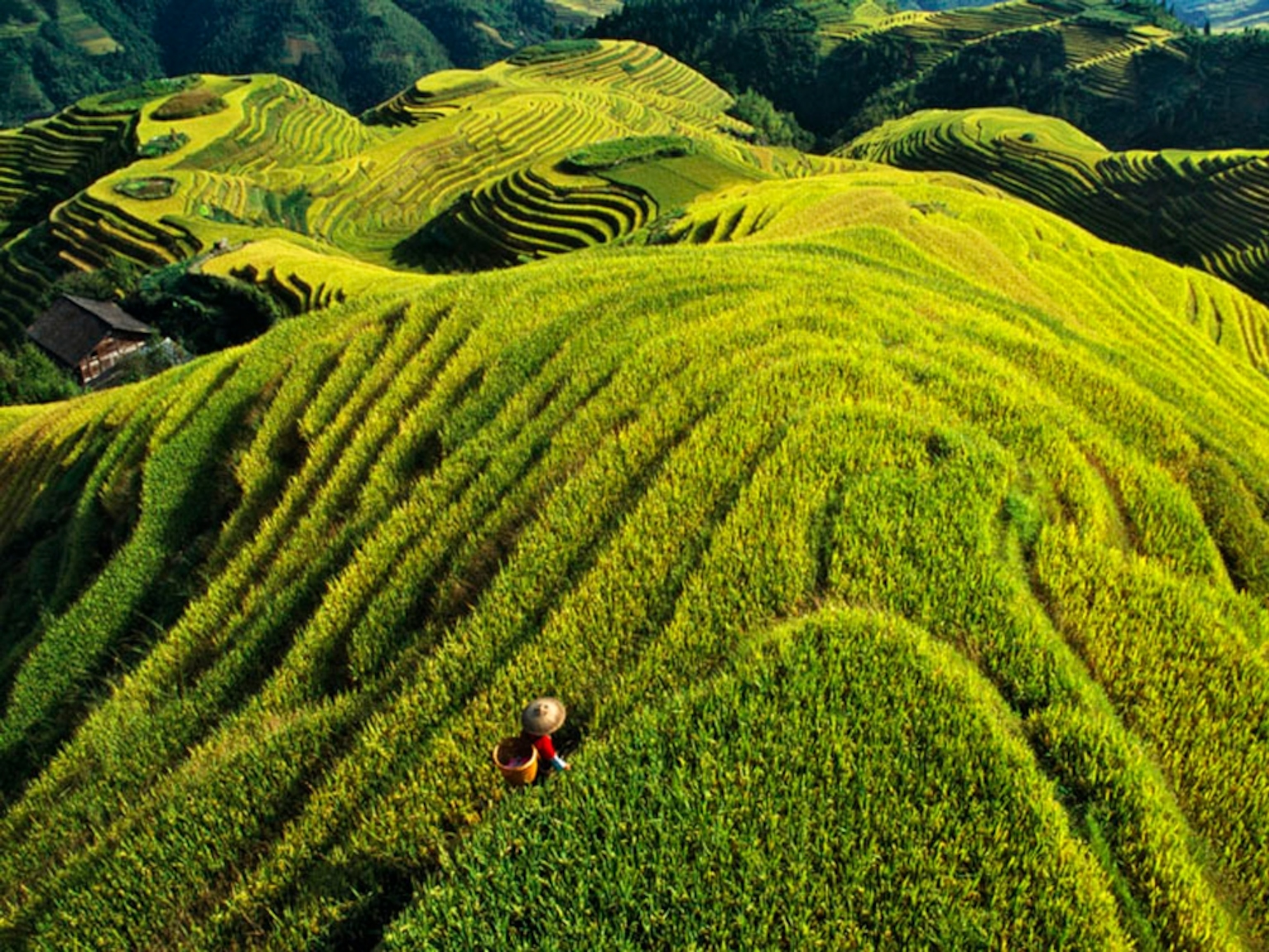 Authentic China Photos -- National Geographic