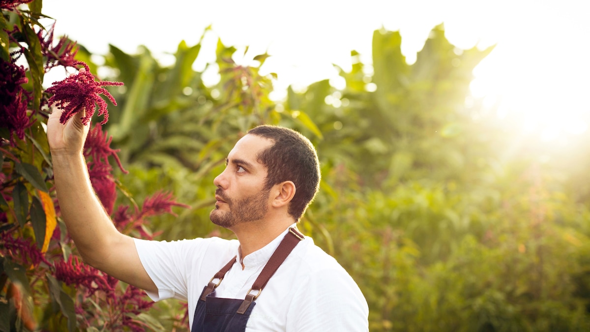 Meet Rodrigo Pacheco, the Ecuadorian chef shining a light on native ...