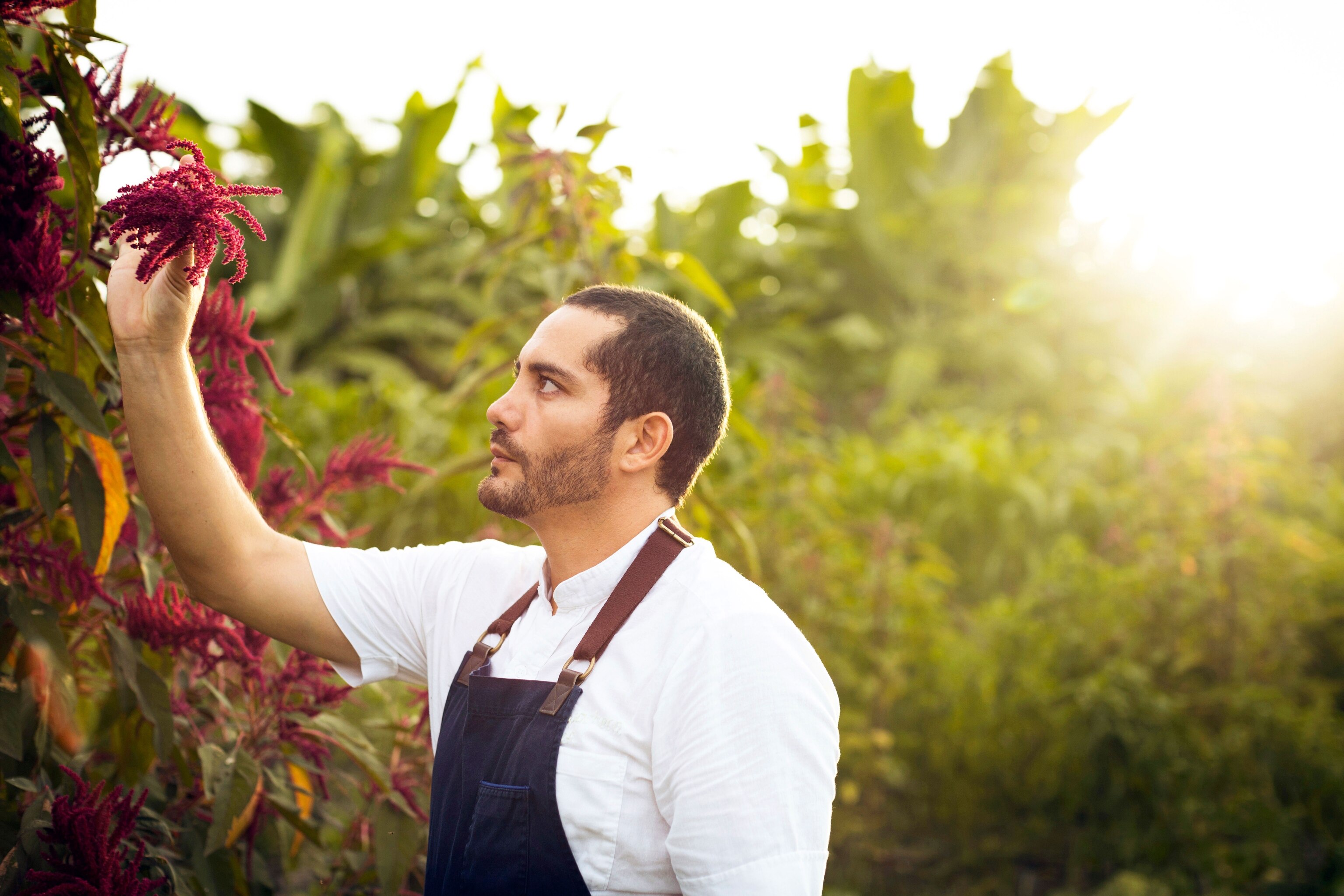 Meet Rodrigo Pacheco, the Ecuadorian chef shining a light on native ...