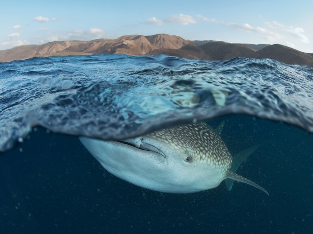 Best Photos In The World Photo Gallery