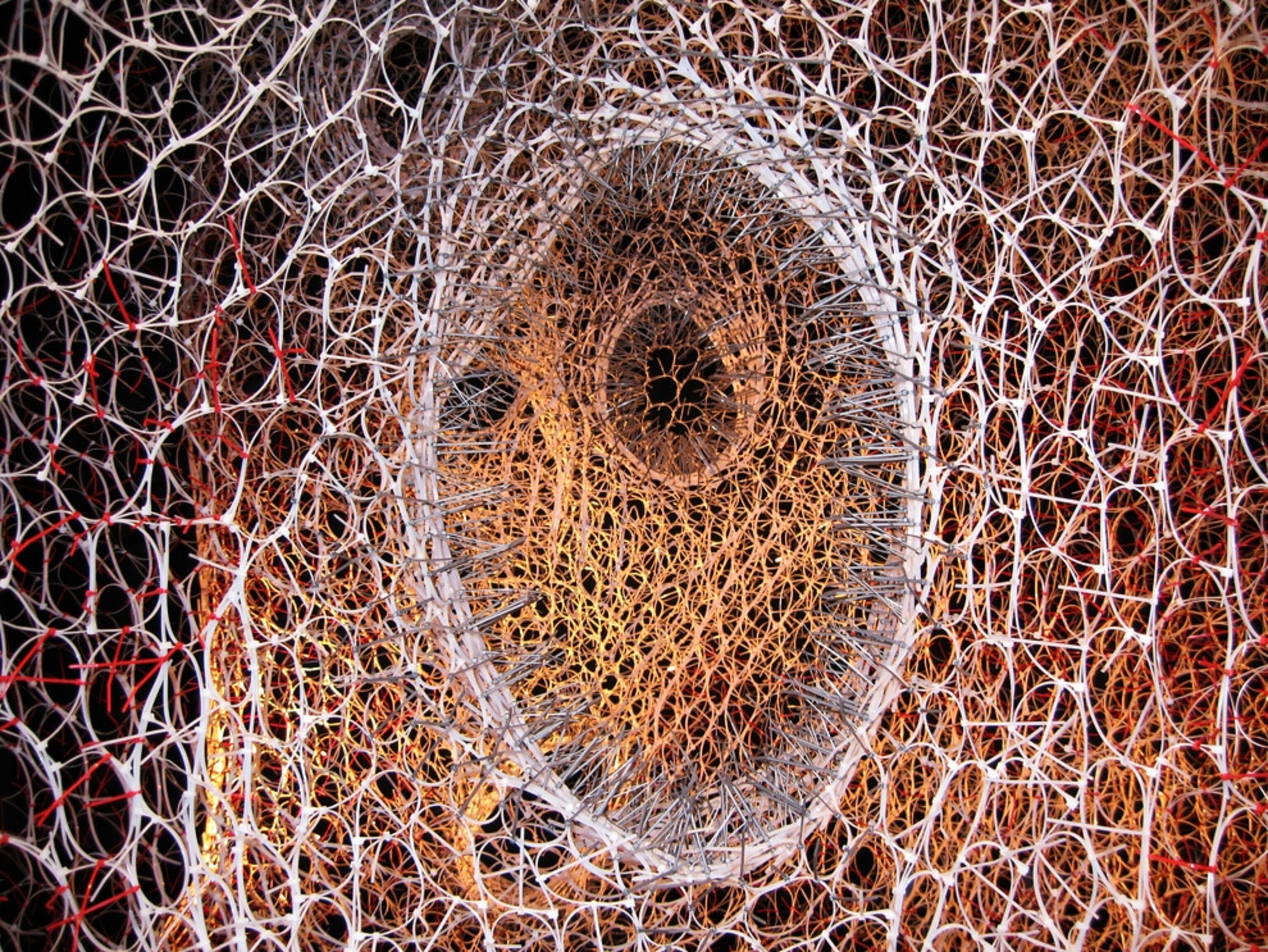 Best Science Pictures Announced