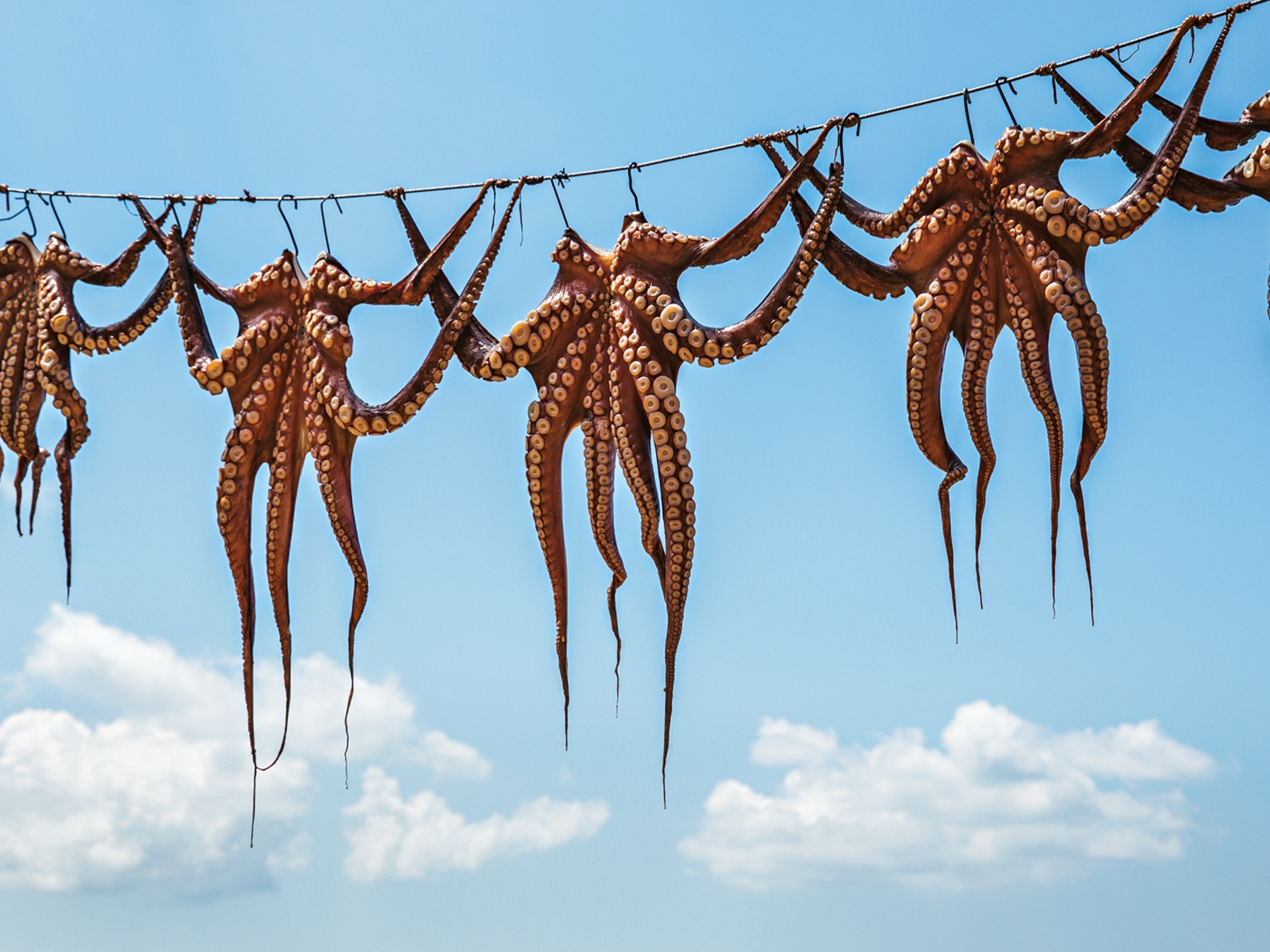 What to Do in Greece