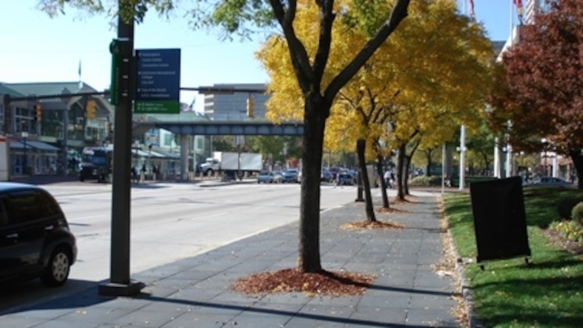 Where the Sidewalk Ends | National Geographic