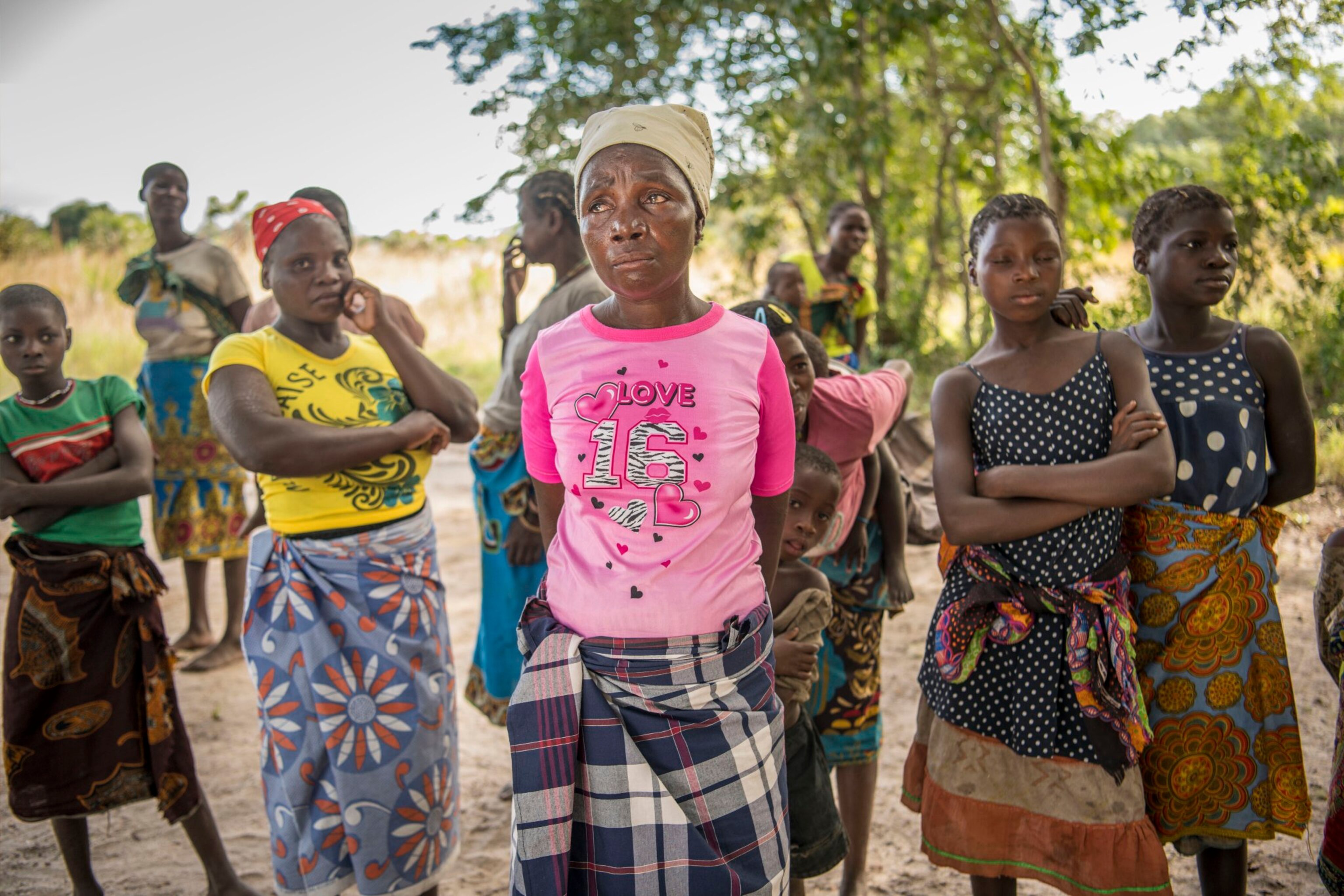 How the world’s largest lion relocation, from South Africa to Zimbabwe, was pulled off