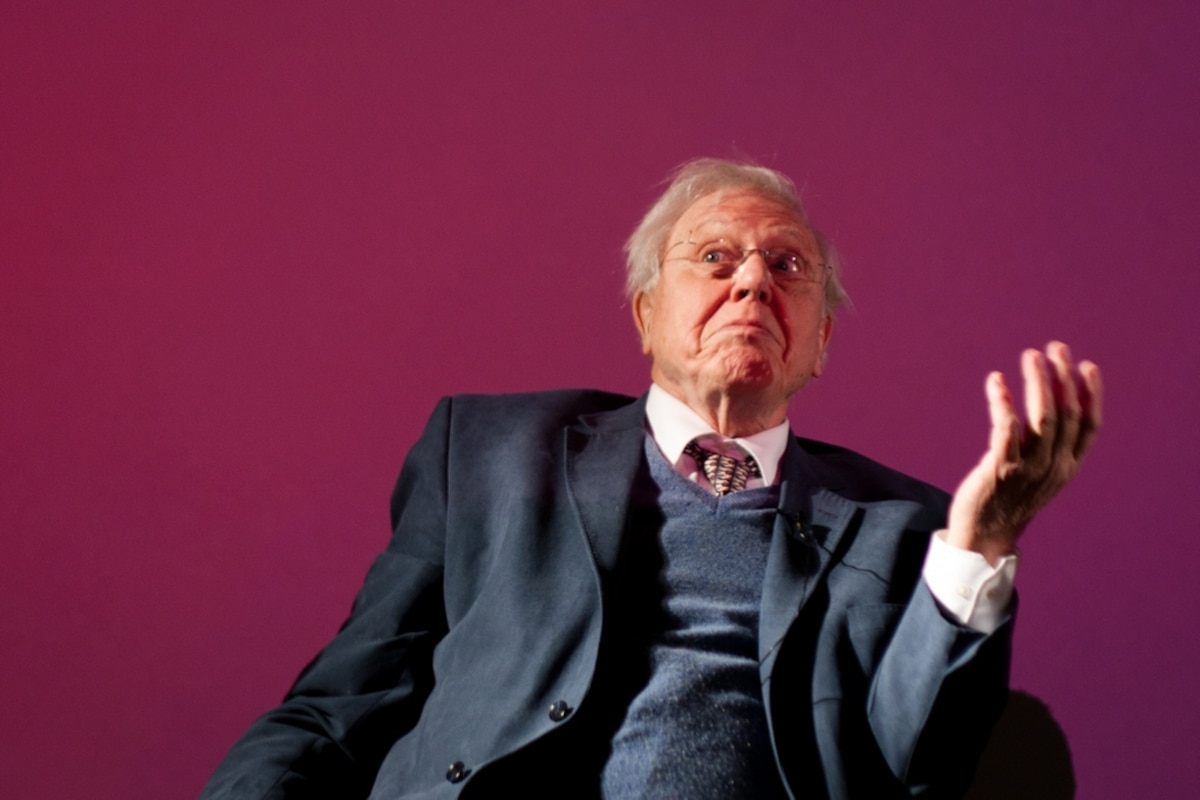 Can You Tell What Animal David Attenborough Is Talking About?