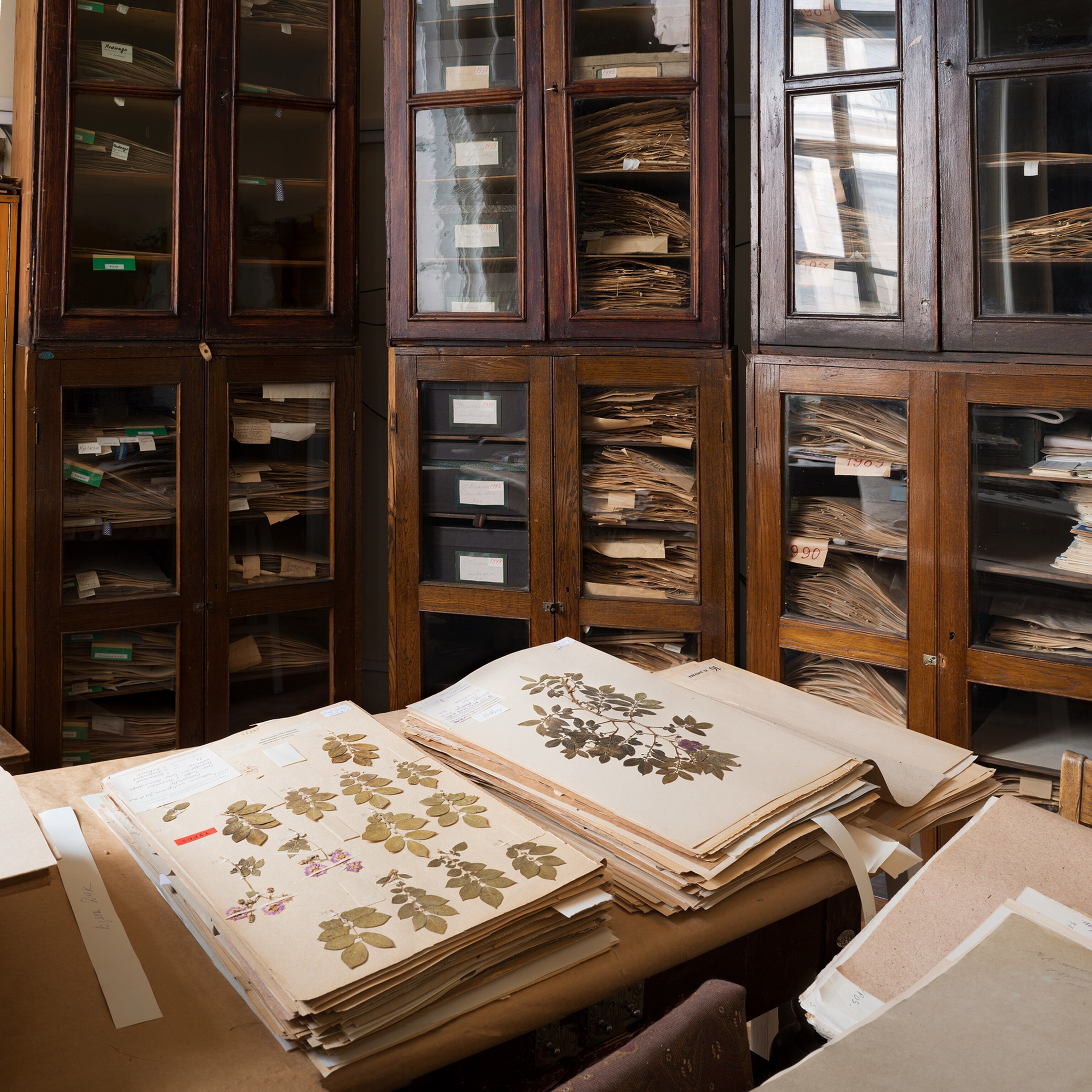 These pictures of seed bank samples turn biology into art