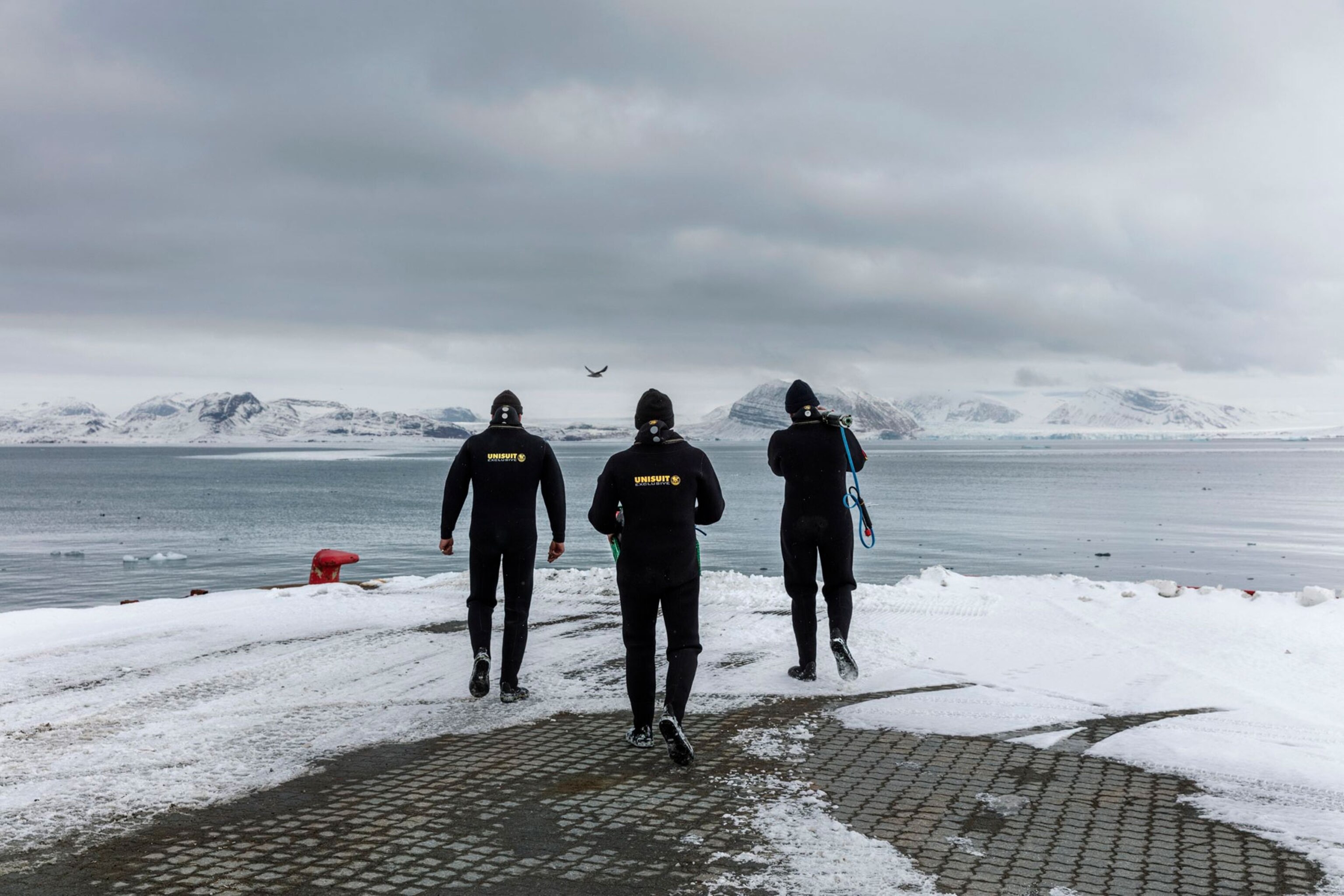 See inside Svalbard’s ice lab Ny-Ålesund, the world’s northernmost ...