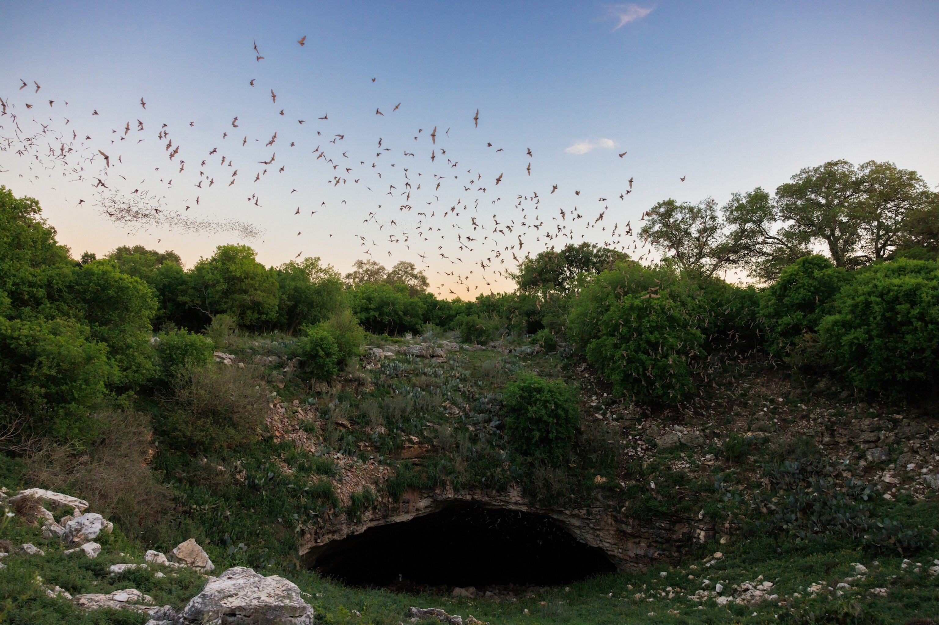 Chasing adventure above and below ground in Texas