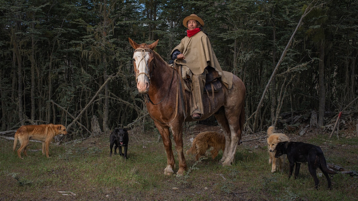 In Patagonia, these cowboys are expert guides to a wild land | National ...