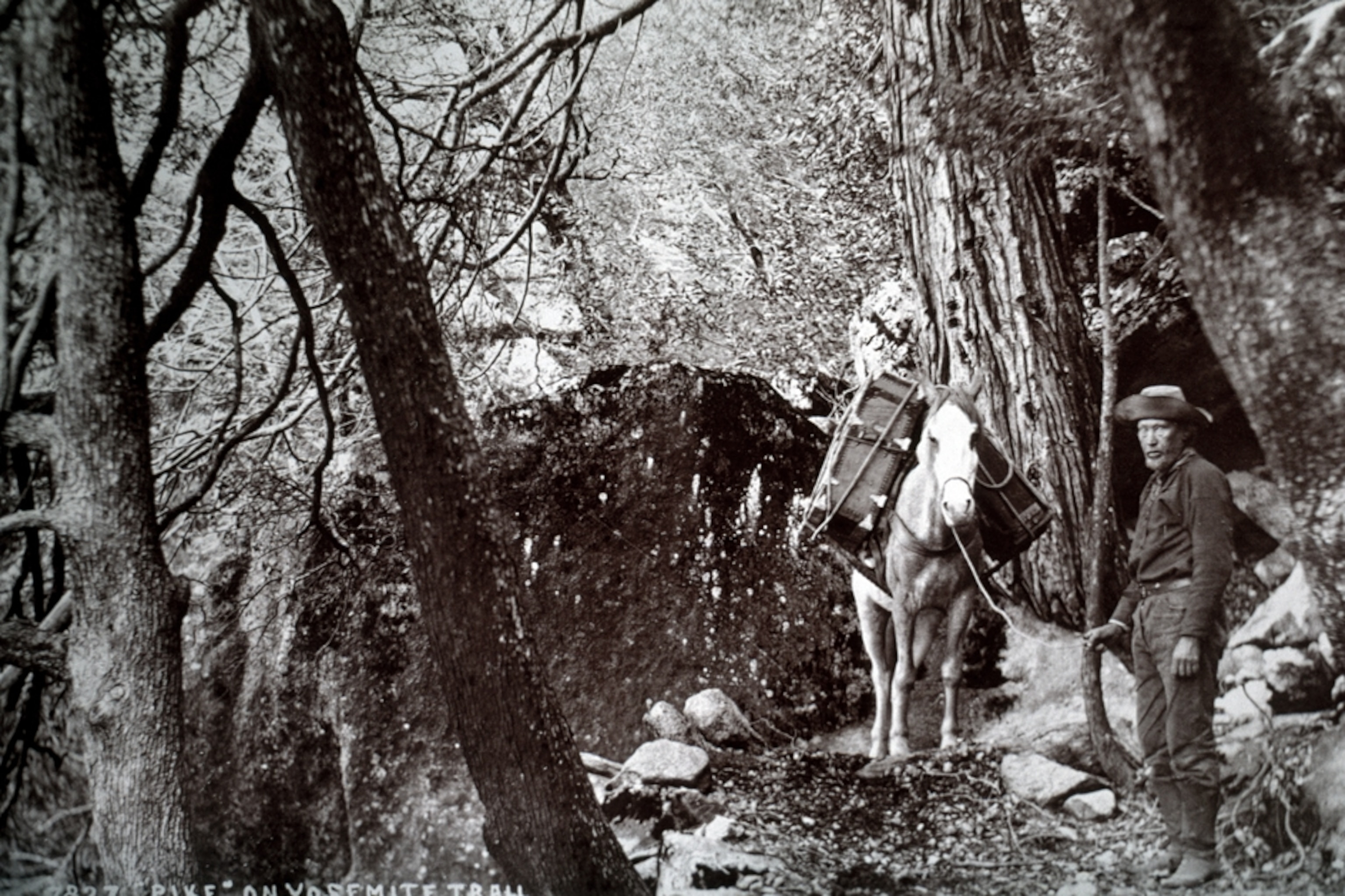 Photo Gallery: Classic Yosemite -- National Geographic