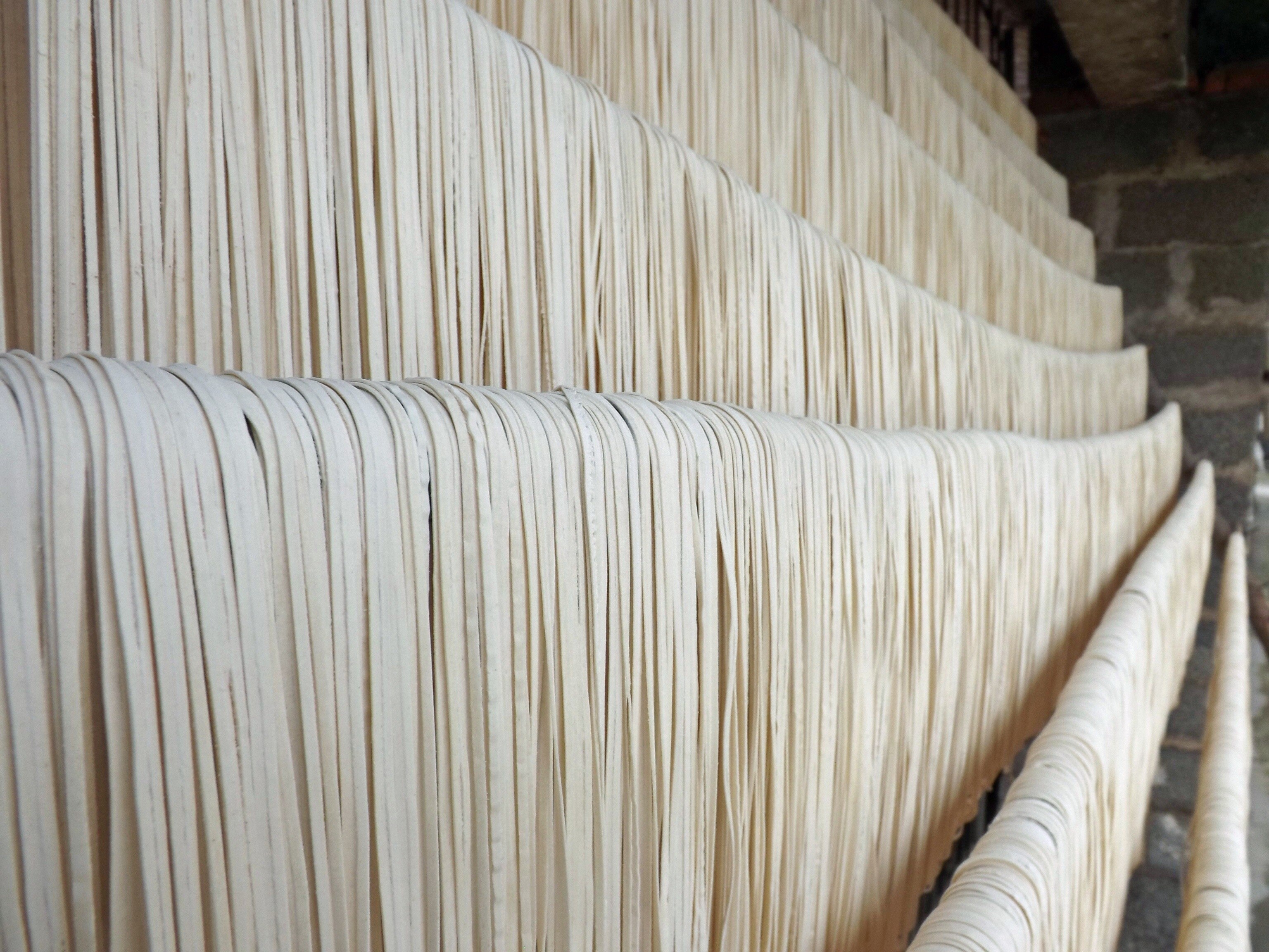 Noodles: The Ultimate Global Comfort Food