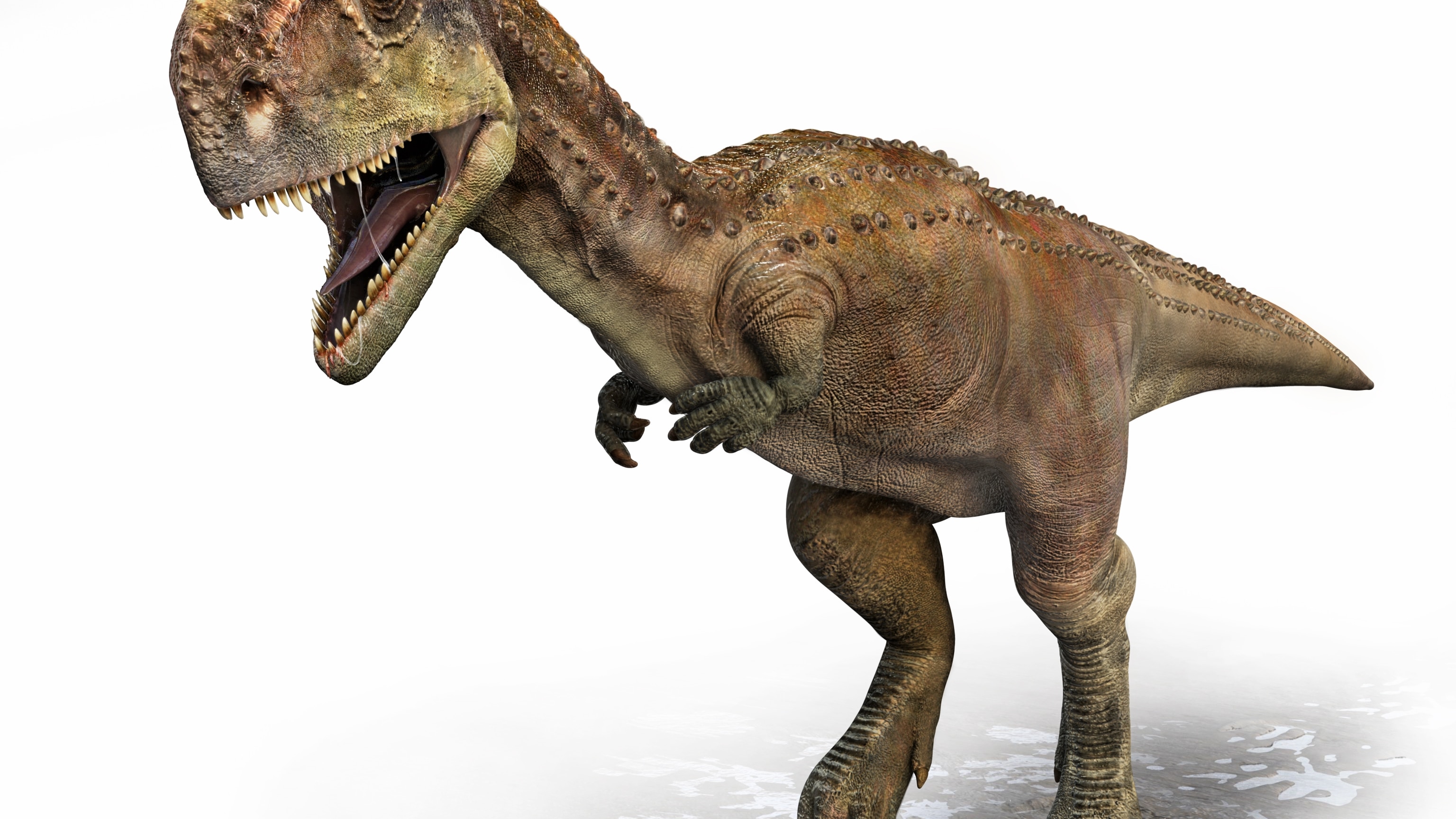 Dinosaur Identification