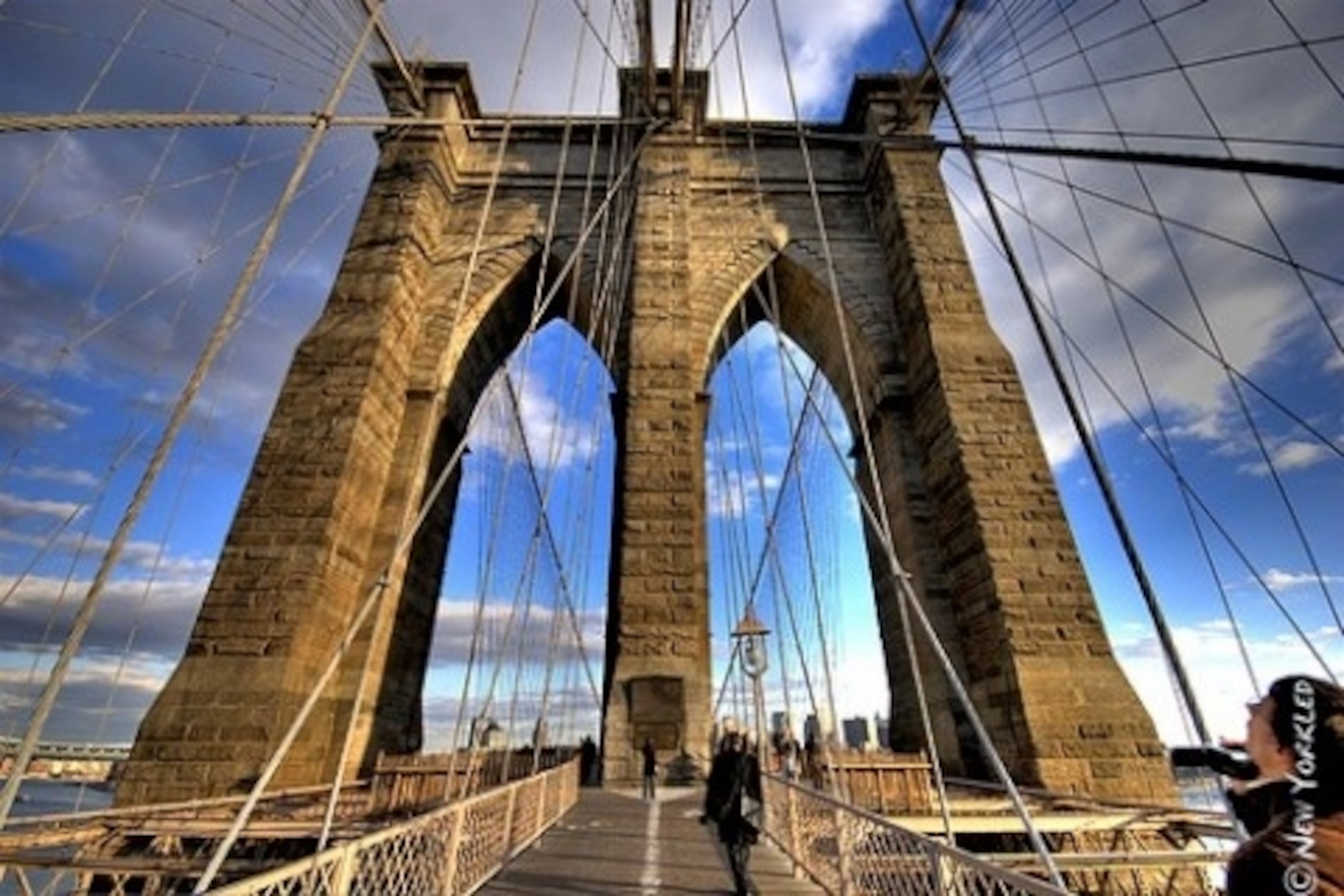 Meg’s Brooklyn | National Geographic