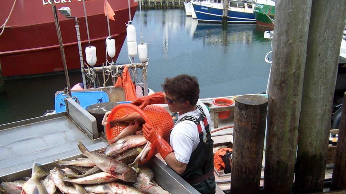 Village Fishmonger: Bringing Sustainable Seafood to the Big Apple ...