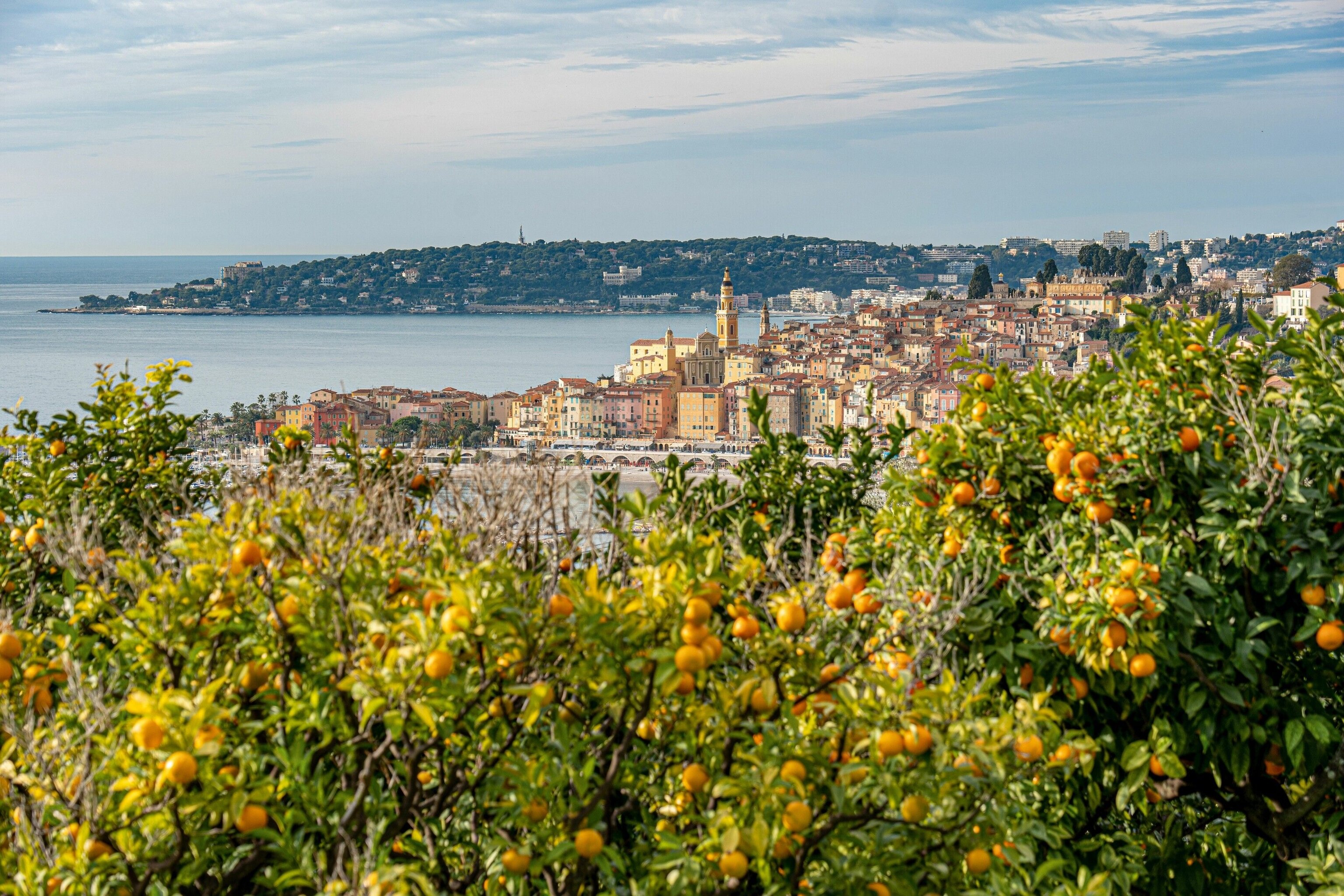 Pick of the crop: experience 25 of Europe’s most celebrated harvests