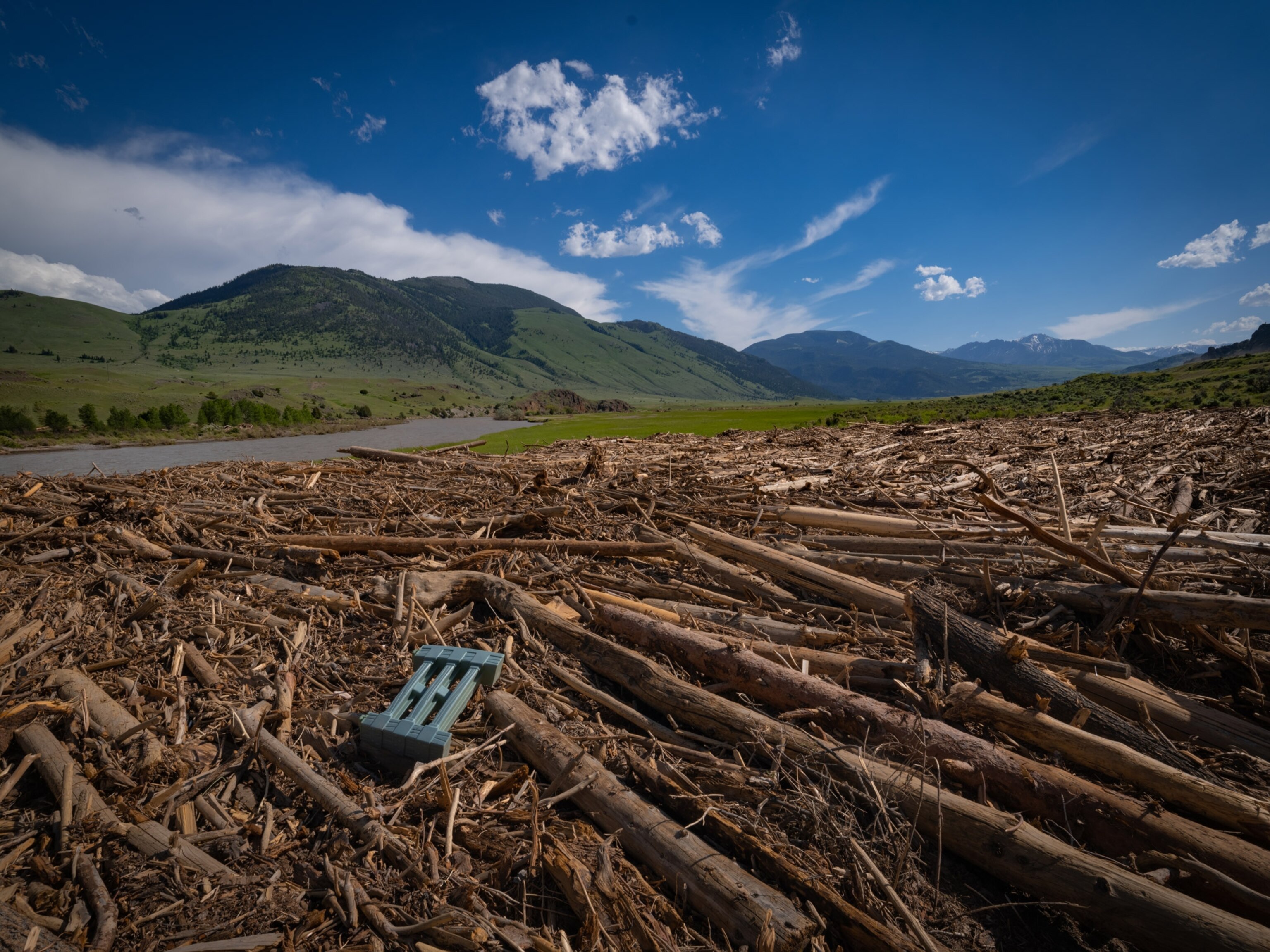 Historic Yellowstone flooding brings renewal despite destruction