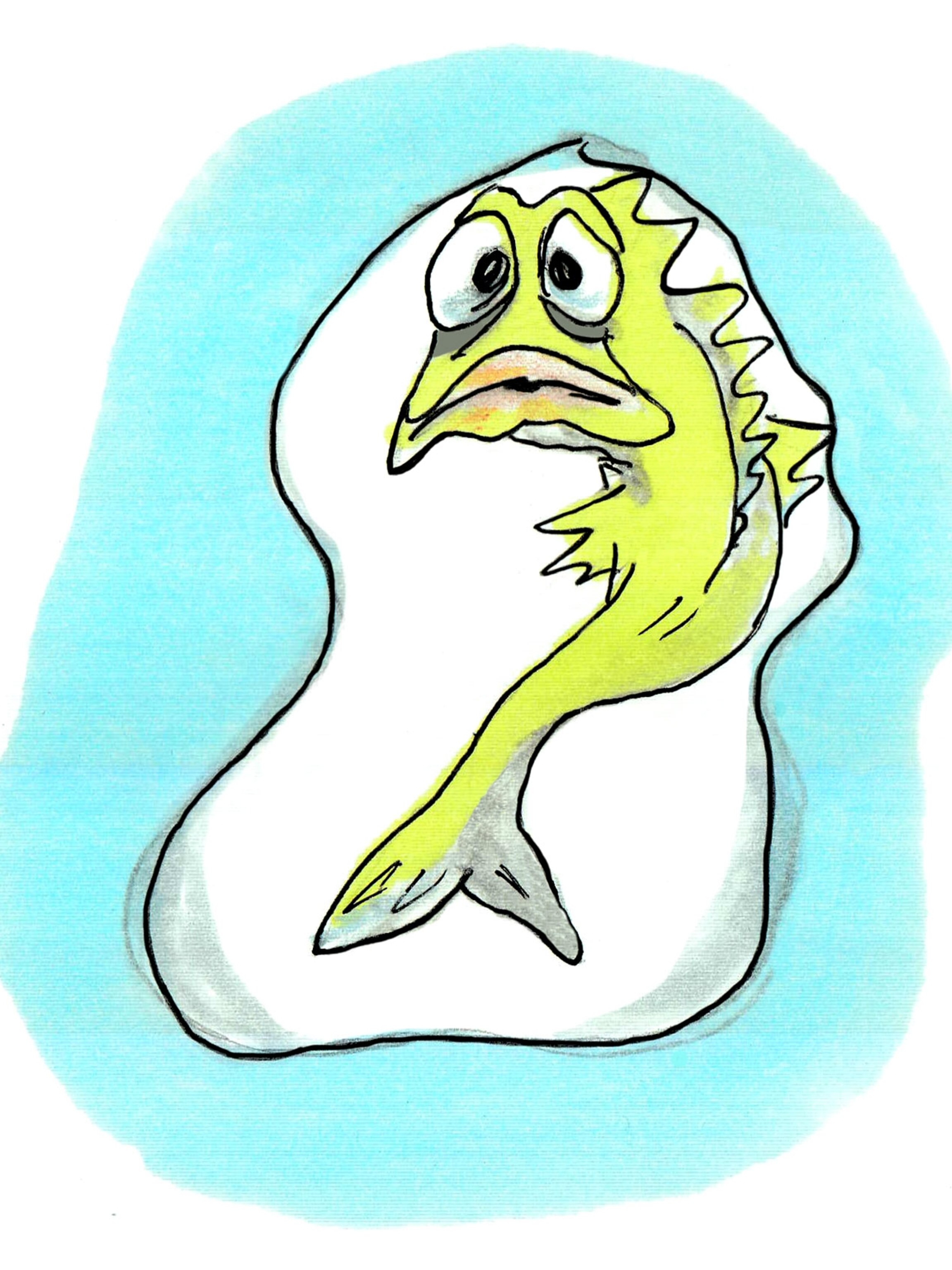 Help! I’m Trapped in a Drop of Water