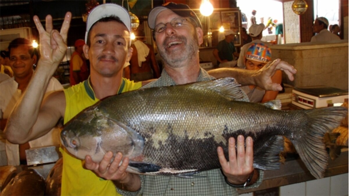 Vegetarian piranhas are the Amazon’s champion gardeners | National ...
