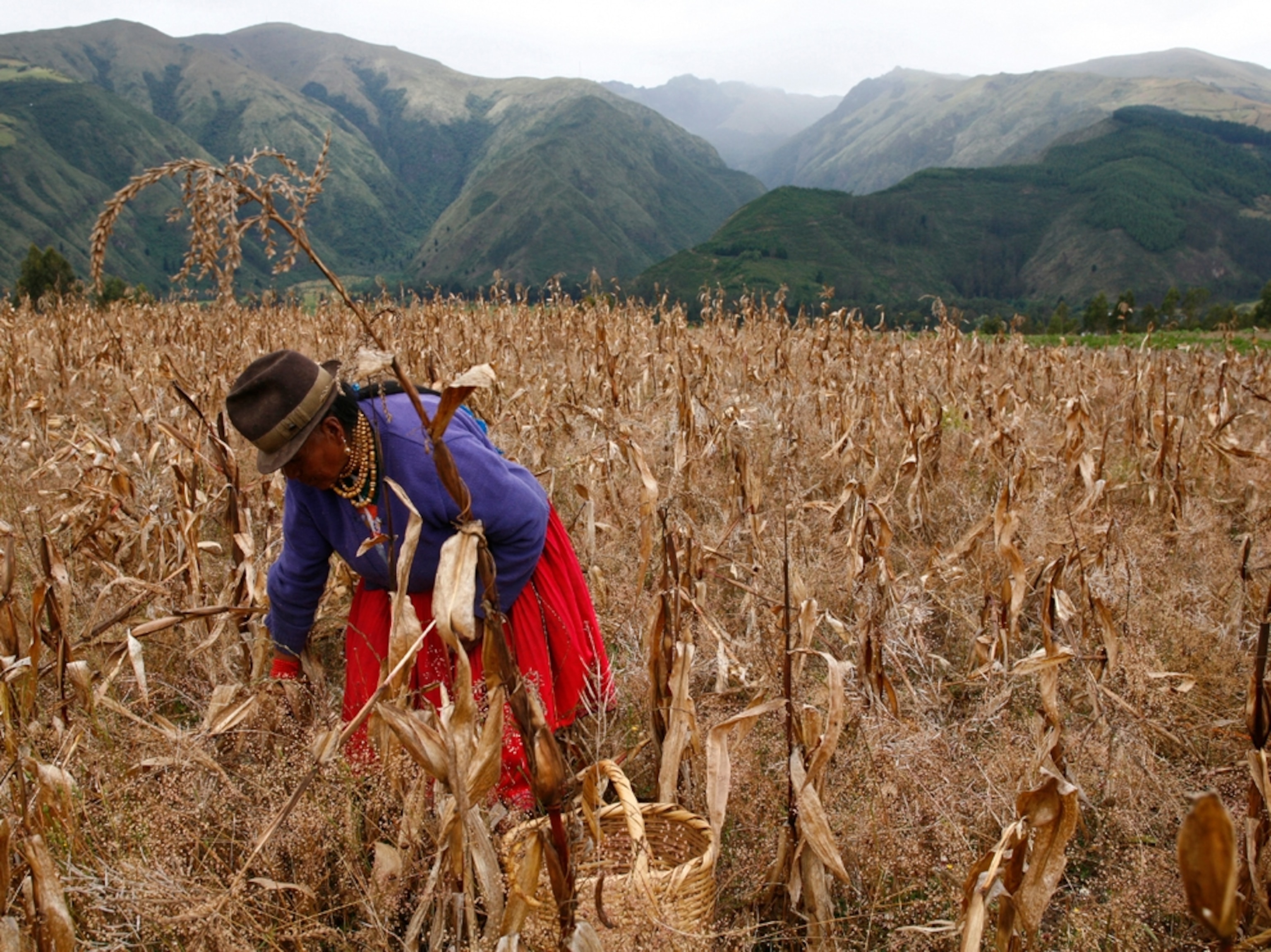 Ecuador Haciendas Photos -- National Geographic | National Geographic