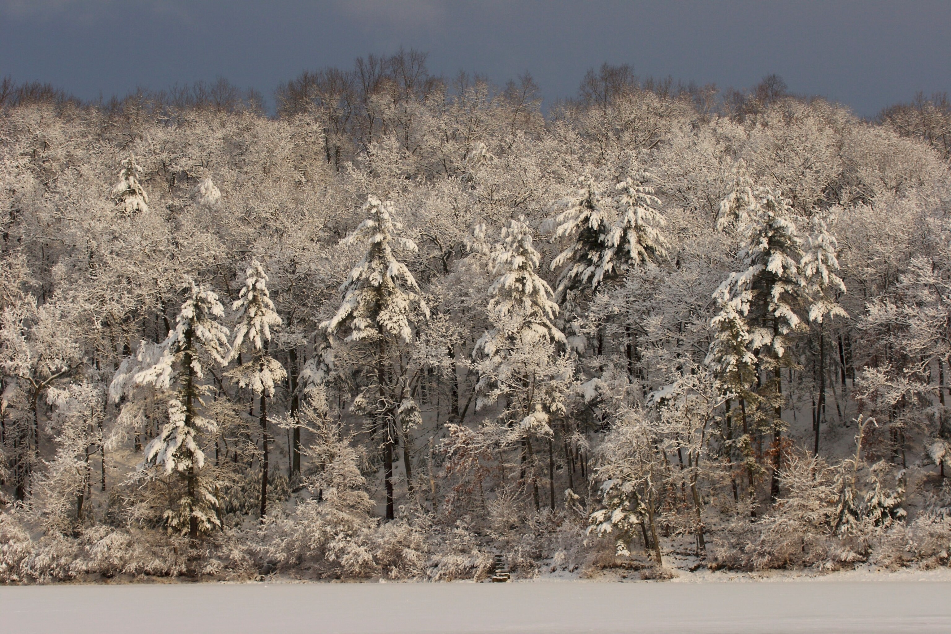 See Why Thoreau's Walden Still Inspires