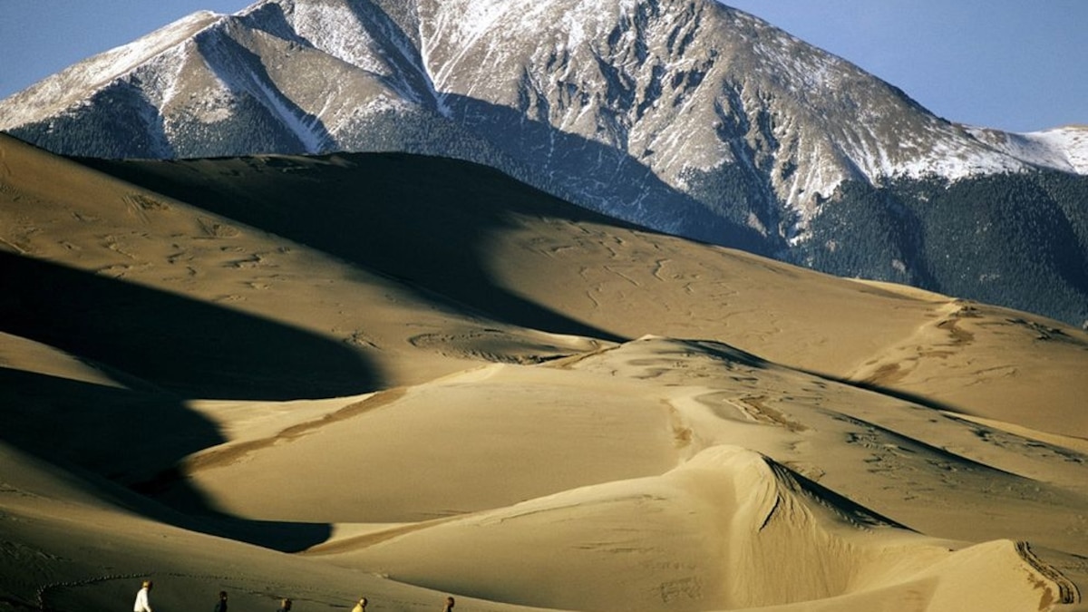 Green Head Sand Dunes