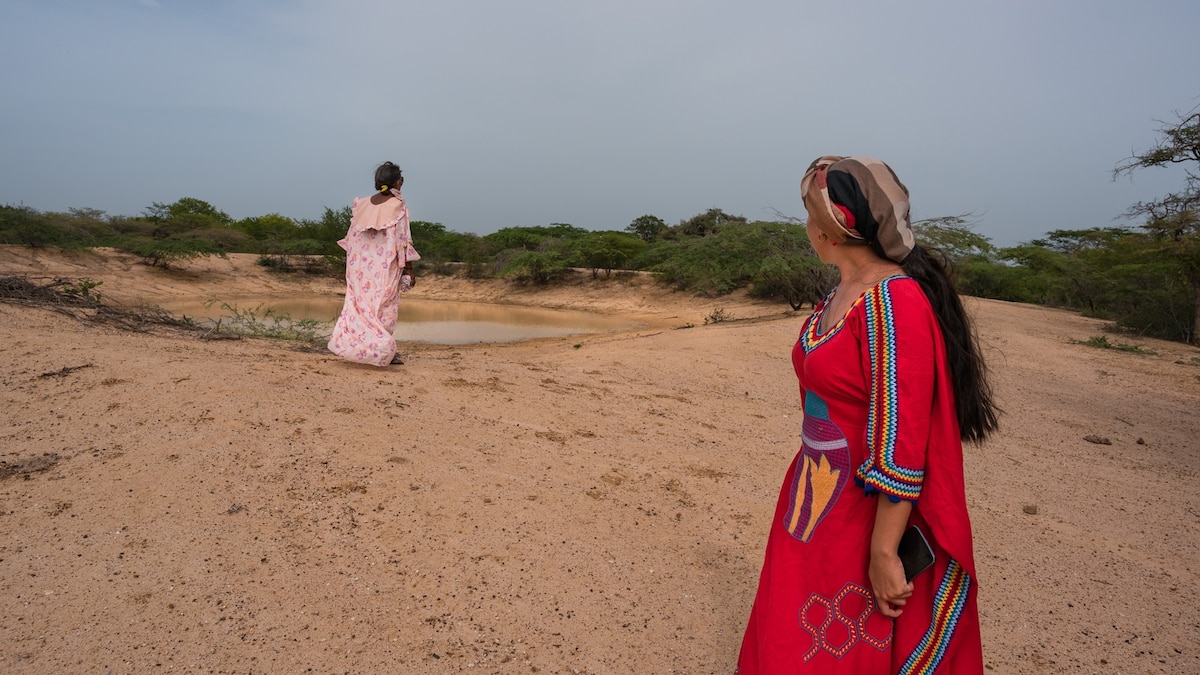 This sacred bean saved an indigenous clan from climate calamity ...