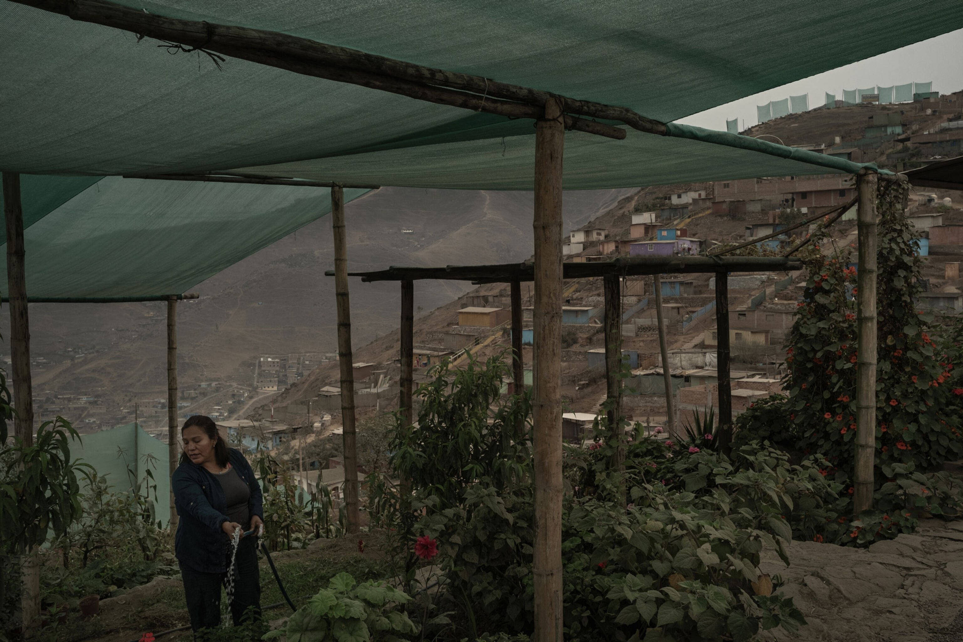 The delicate art of catching fog in the desert