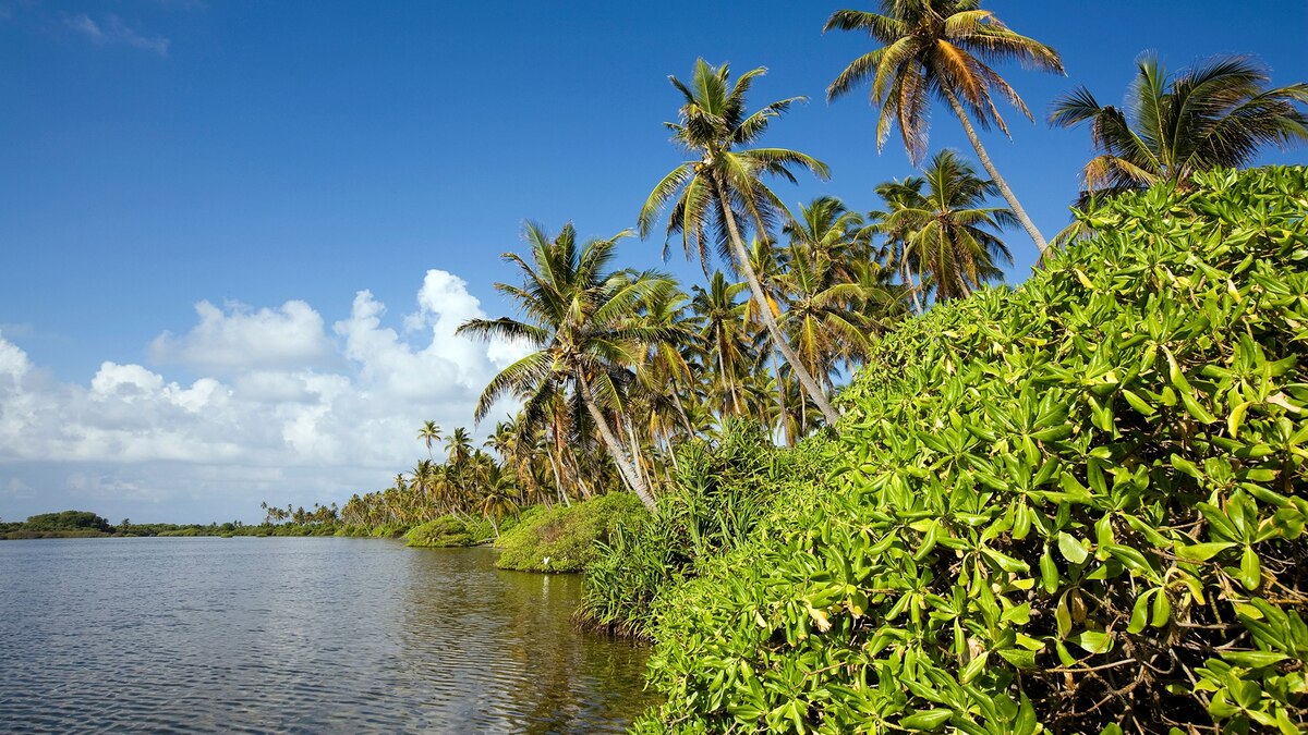 Top 5 natural attractions in the Maldives | National Geographic