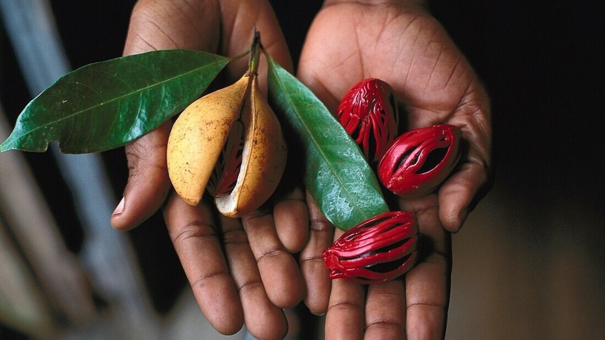 A taste of Grenada, from lemongrass biscuits to lime pie | National ...