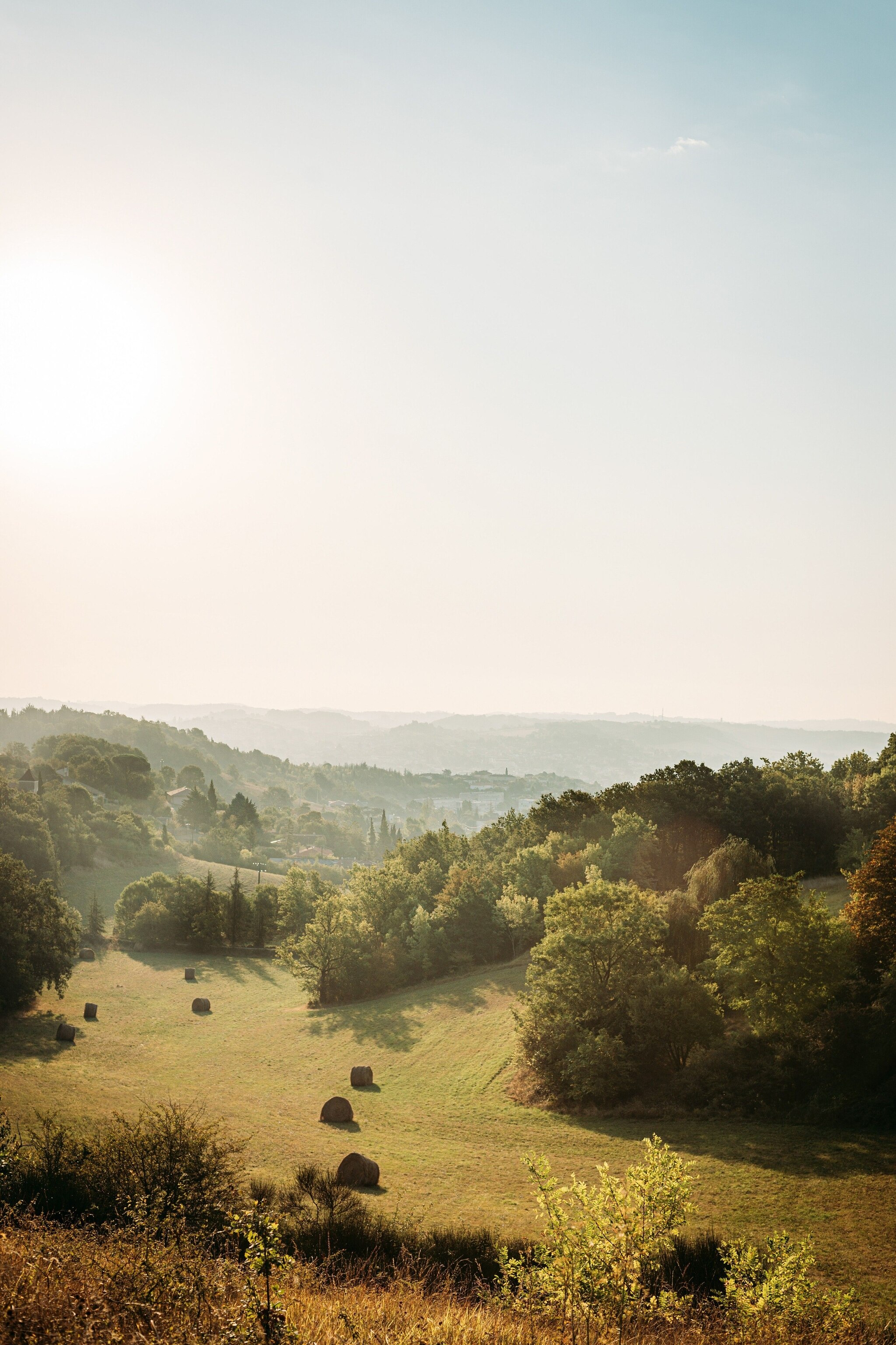 Photo story: a journey into Armagnac, home of the world’s oldest brandy