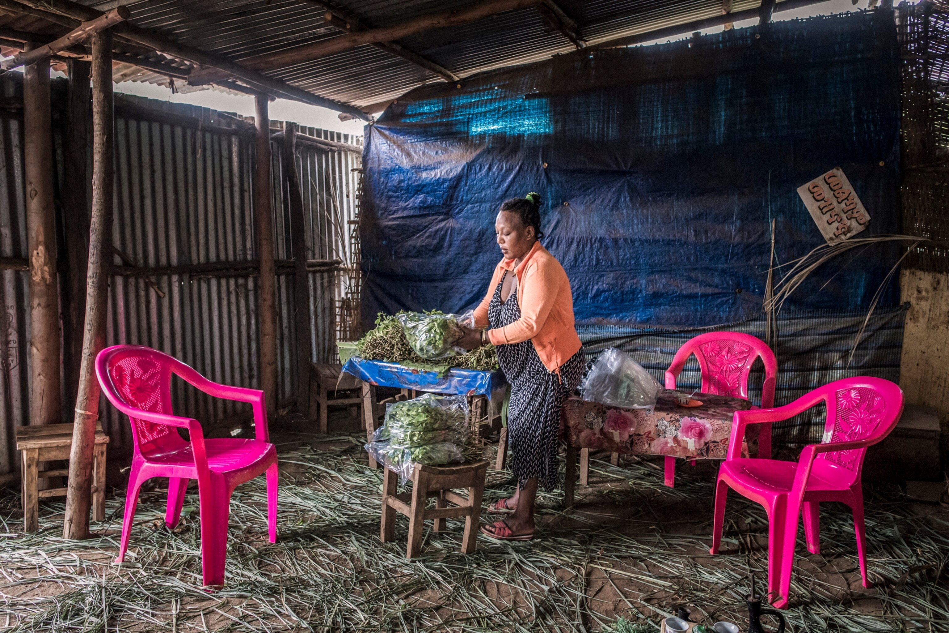 See Ethiopia's Massive Dam’s Impacts on Tribal Communities