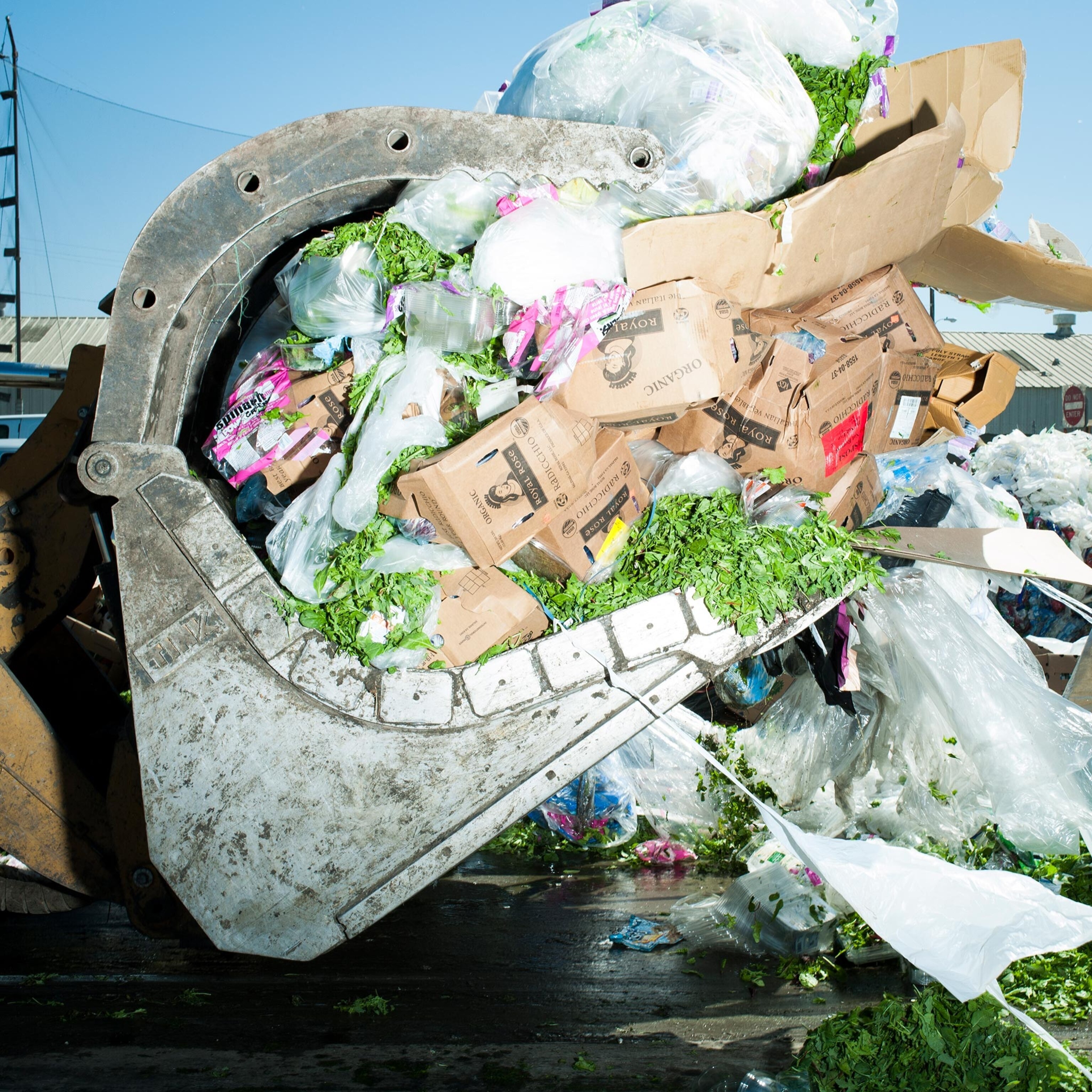 People waste more food than they think—here's how to fix it