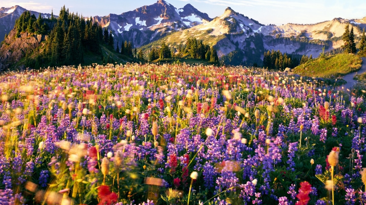 Top 10 Landmarks in National Parks | National Geographic