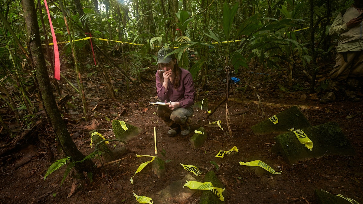 Seven Major Archaeological Discoveries of 2015 | National Geographic